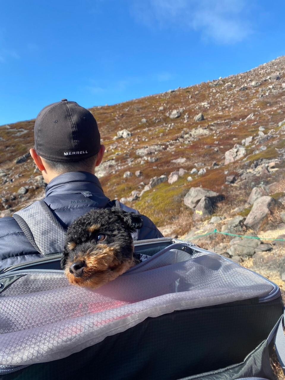 yudai watanabeのページ | YAMAP / ヤマップ