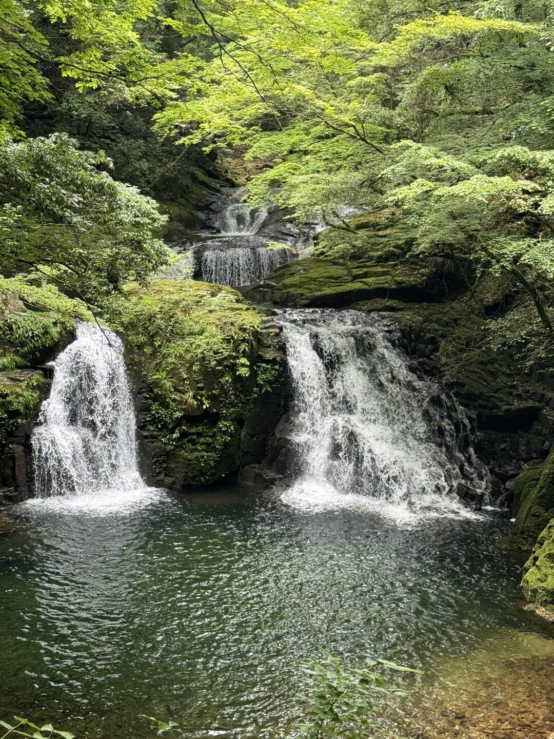長坂山 赤目四十八滝 / ryu-nosukeさんの長坂山・赤目四十八滝の活動データ | YAMAP / ヤマップ