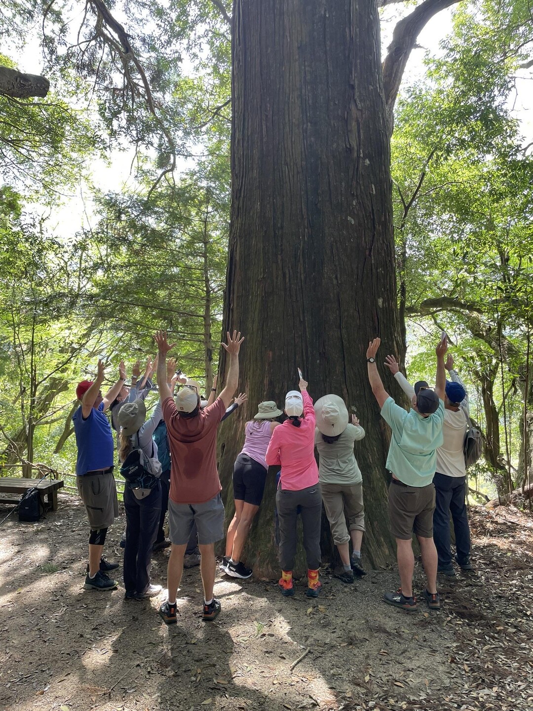 熊野古道 近露〜継桜+発心門〜本宮 Day3 / りこさんのウォーキングの活動データ | YAMAP / ヤマップ