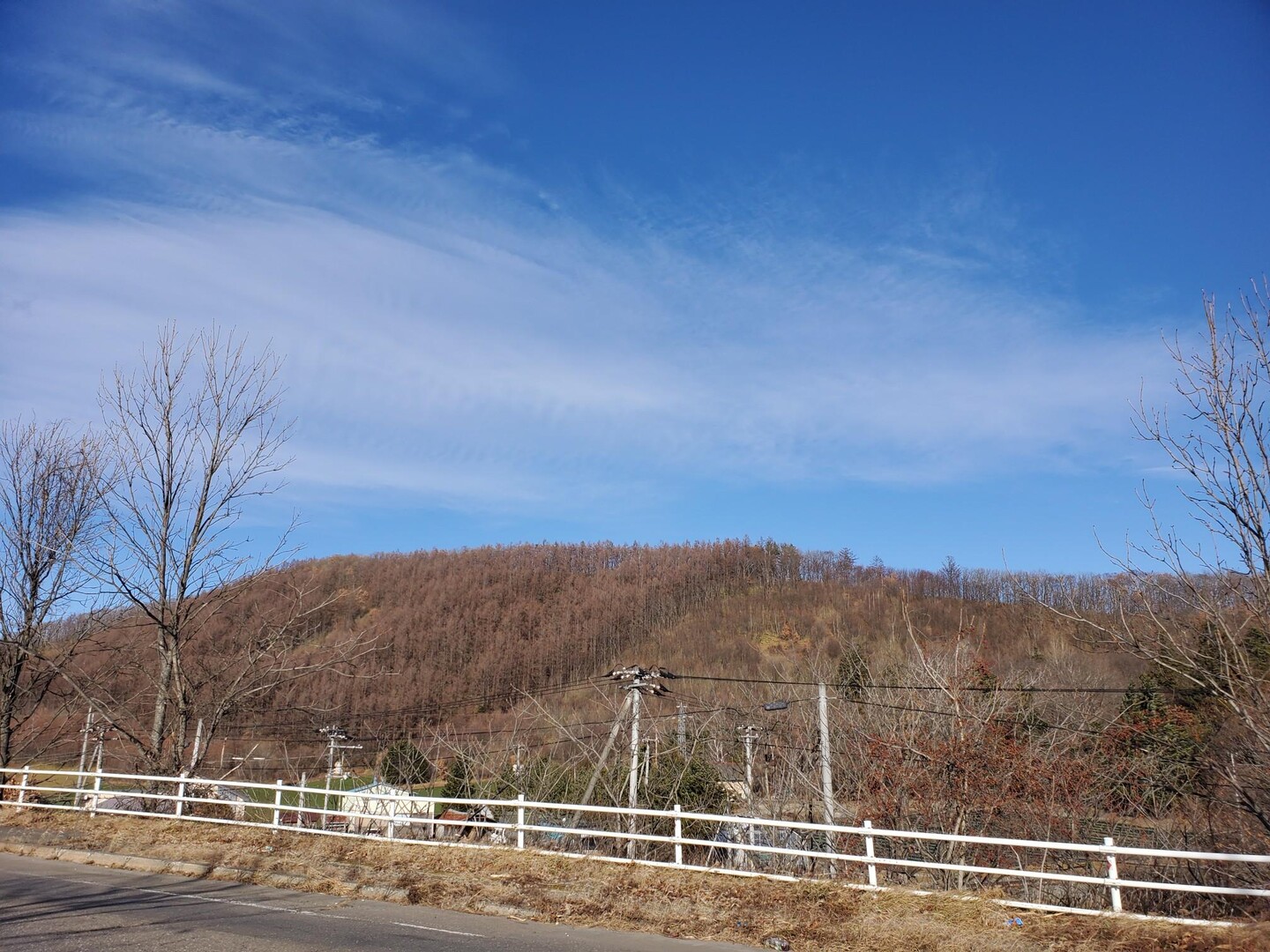 フンベ山 / Ryu-chanさんの帯広市の活動データ | YAMAP / ヤマップ