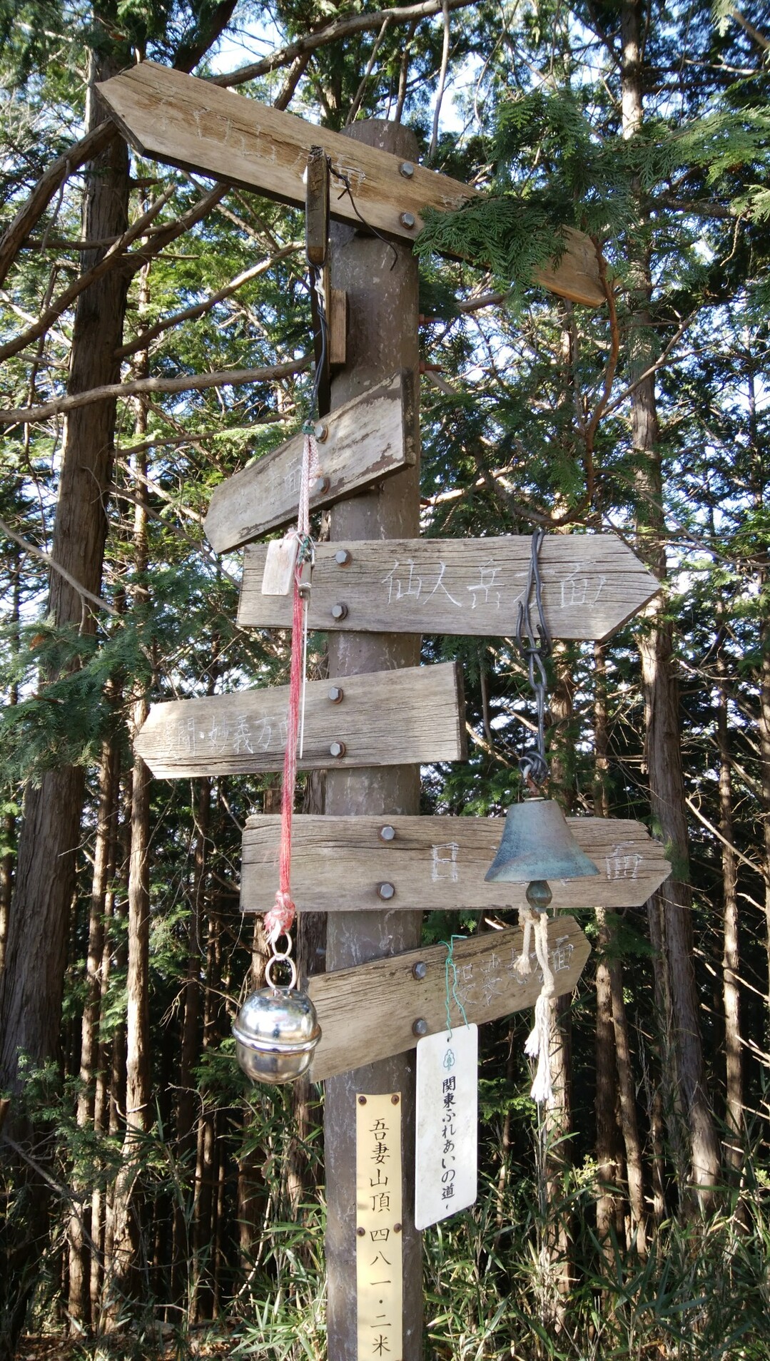 吾妻山 / barrrさんの鳴神山・吾妻山の活動データ | YAMAP / ヤマップ