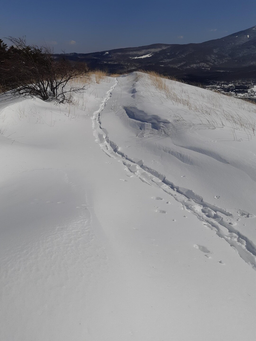 車山・大笹峰-2024-03-14 / Heroさんの霧ヶ峰・車山・大笹峰の活動データ | YAMAP / ヤマップ
