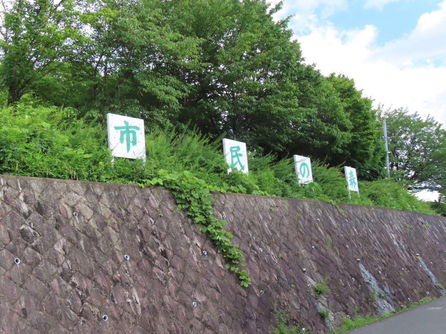 市民の森までサイクリング🚴＆ウォーキング🚶 / Howardさんの生駒山・神津嶽・大原山の活動データ | YAMAP / ヤマップ