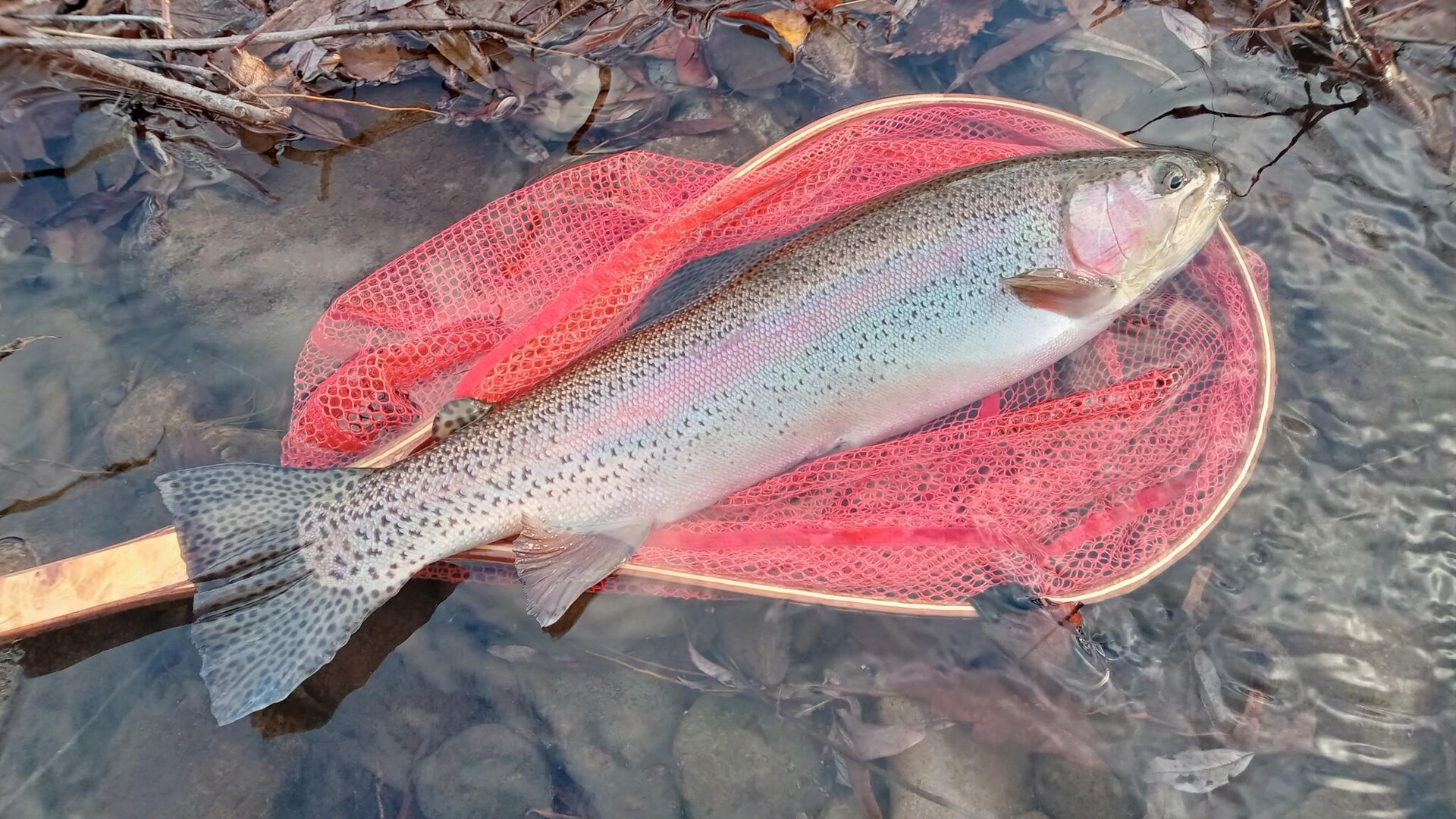 私の山シーズンが終了後は冬の釣りシーズン... / かずたOKTさんのモーメント | YAMAP / ヤマップ