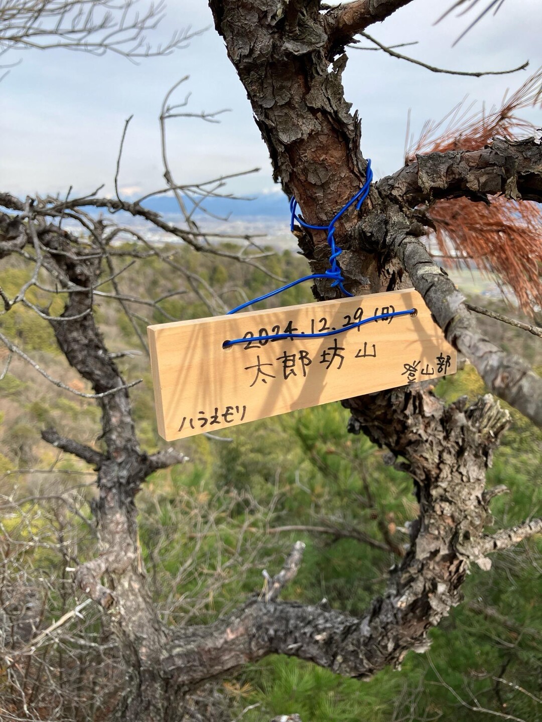 太郎坊さん まったりコーヒータイム / sachiさんのウォーキングの活動データ | YAMAP / ヤマップ