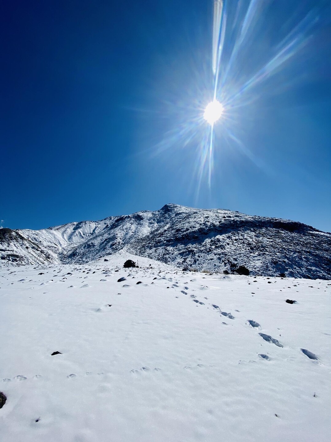星生山へ今季最後の雪山へ☃️ / Cielさんの九重山（久住山）・大船山・星生山の活動データ | YAMAP / ヤマップ