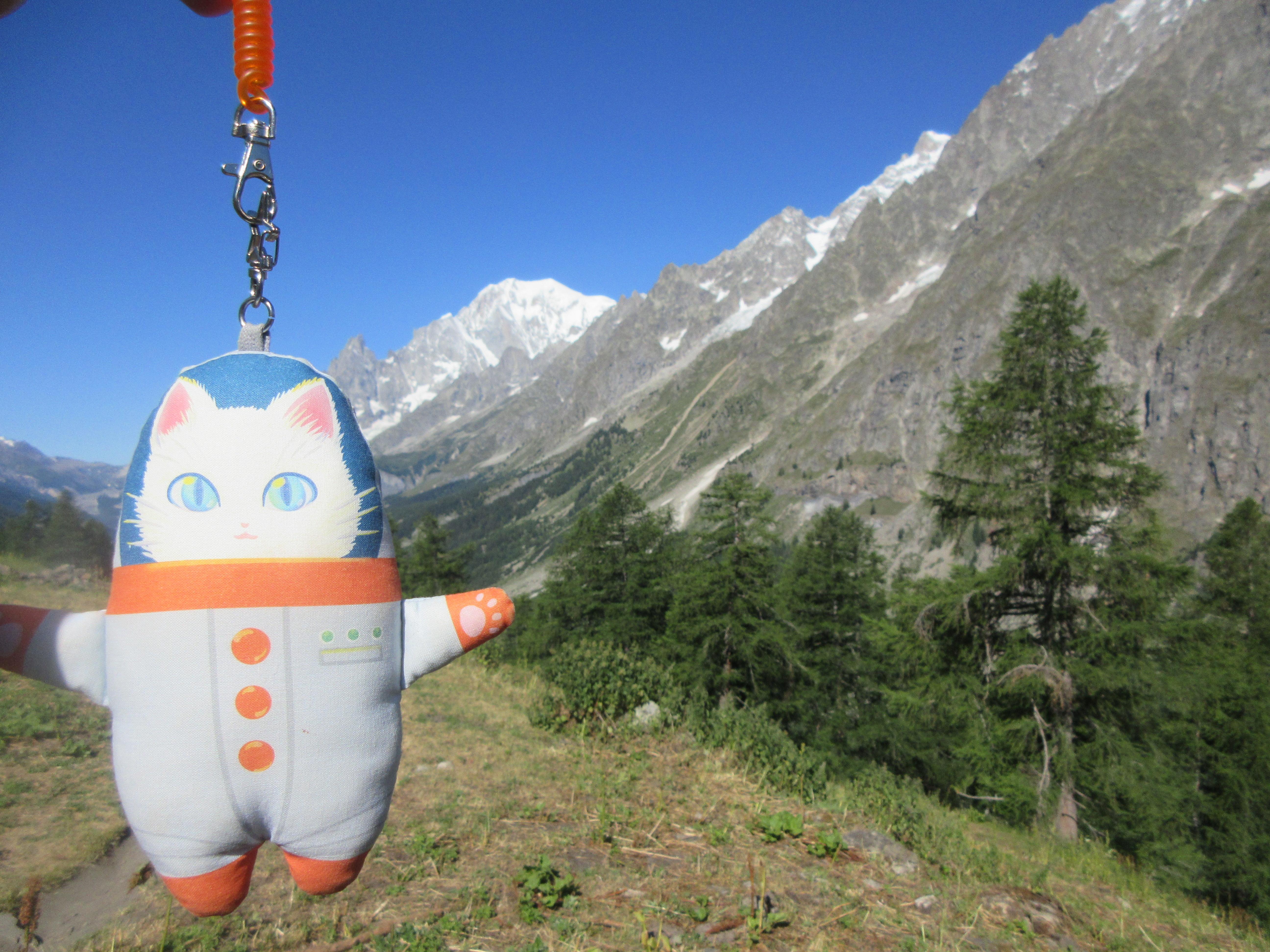 Tour du Mont Blanc（TMB）をほんのちょっと2025-07-10 / 白猫マイカさんのツール・ド・モンブラン_Tour du Mont Blanc（TMB）の活動データ ...