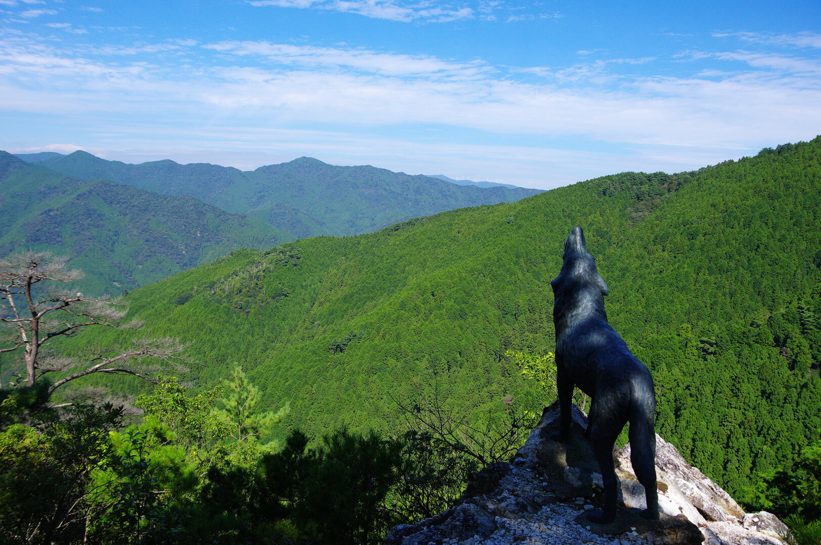 鶴林寺～太龍寺 / kame379さんの鶴林寺山の活動データ | YAMAP / ヤマップ