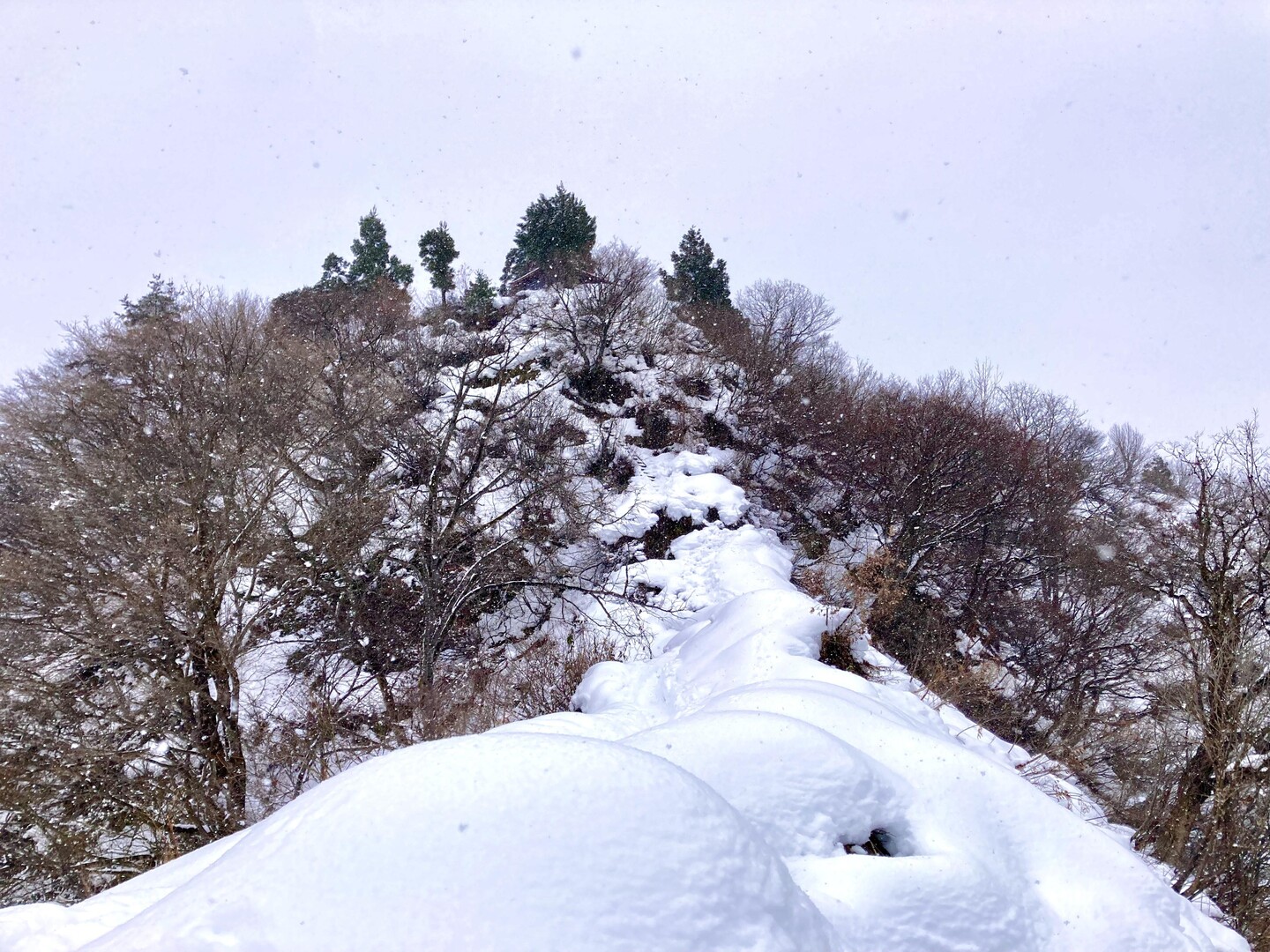 坂戸山47 / karashiさんの坂戸山の活動データ | YAMAP / ヤマップ