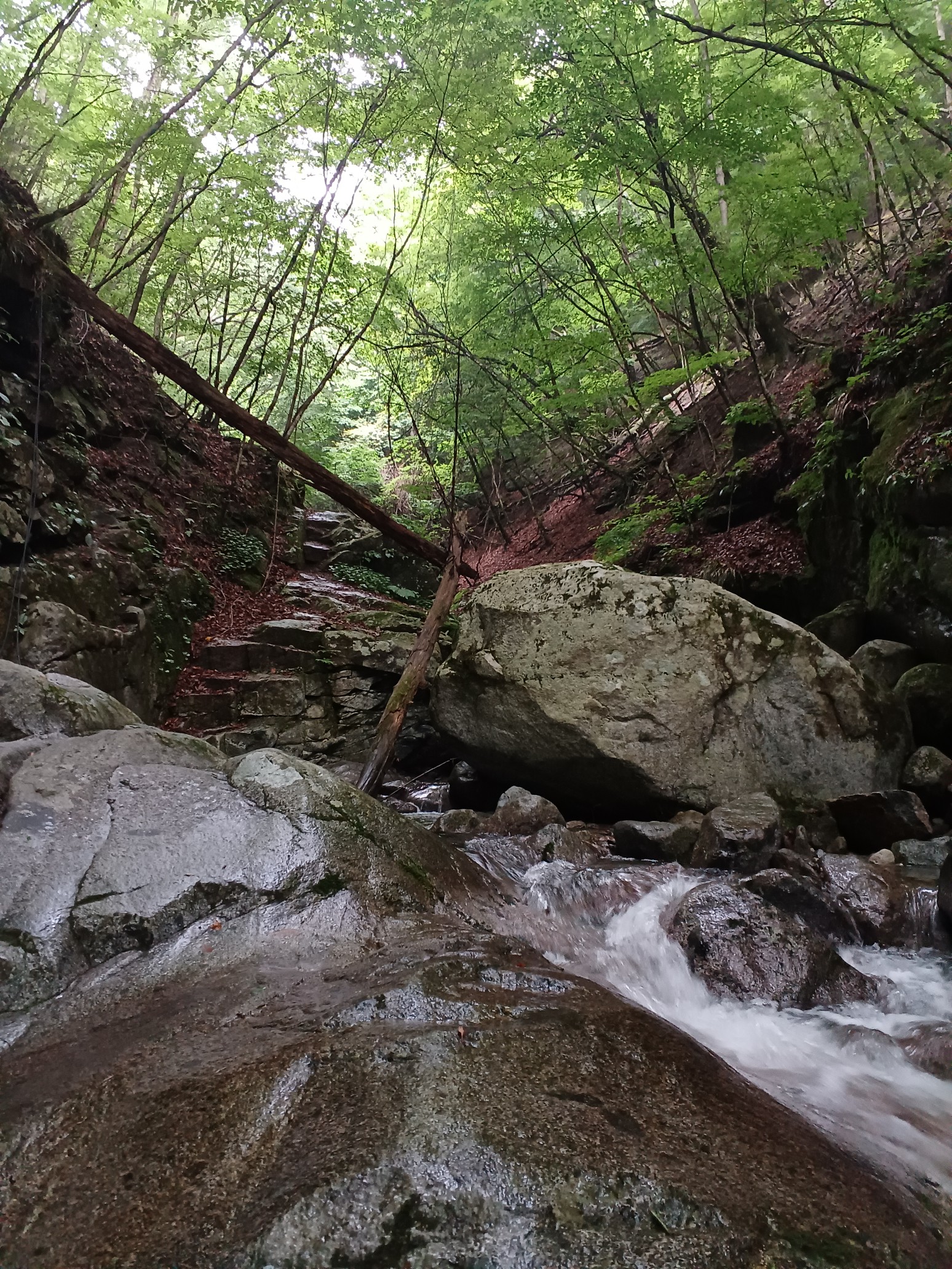 鶏冠山～甲武信ヶ岳 / 日本酒とワインさんの甲武信ヶ岳の活動日記 | YAMAP / ヤマップ