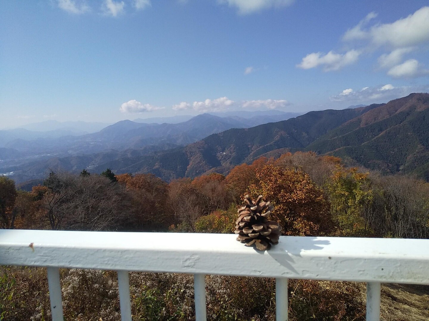 陣馬山20221112 / 丸金さんの高尾山・陣馬山・景信山の活動データ | YAMAP / ヤマップ