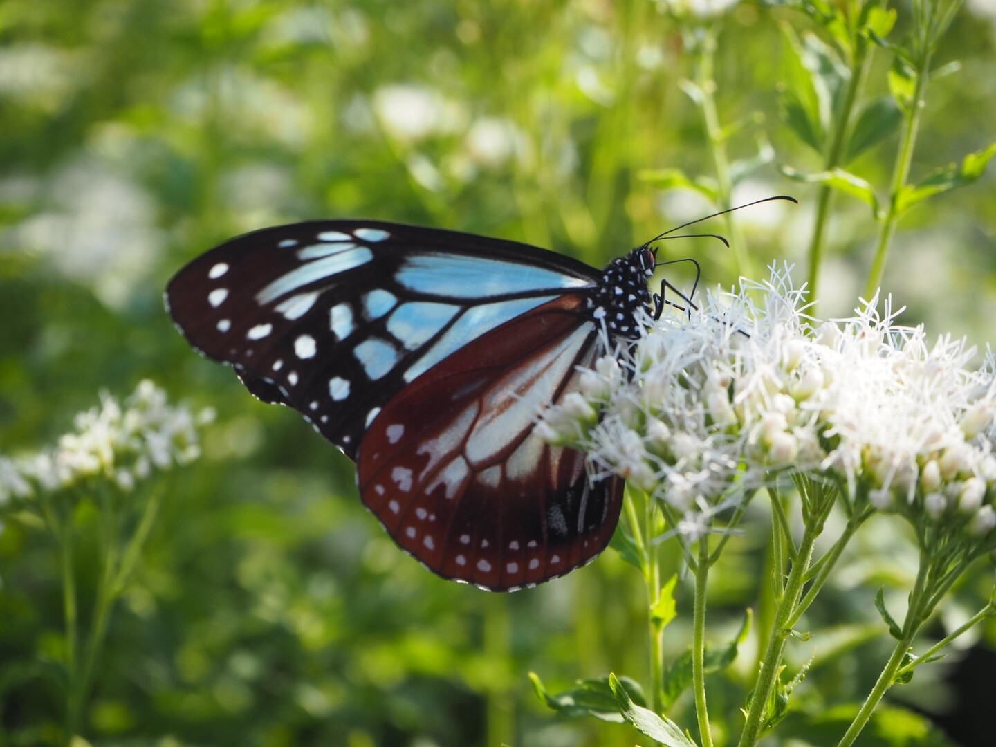 2022.10.23 まさか自宅から近... / kimiさんのモーメント | YAMAP / ヤマップ
