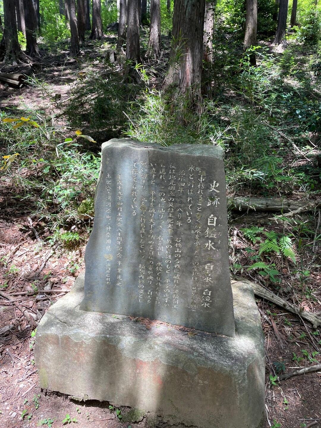 幕山〜自鑑水〜南郷山 / HNさんの幕山・南郷山の活動データ | YAMAP / ヤマップ