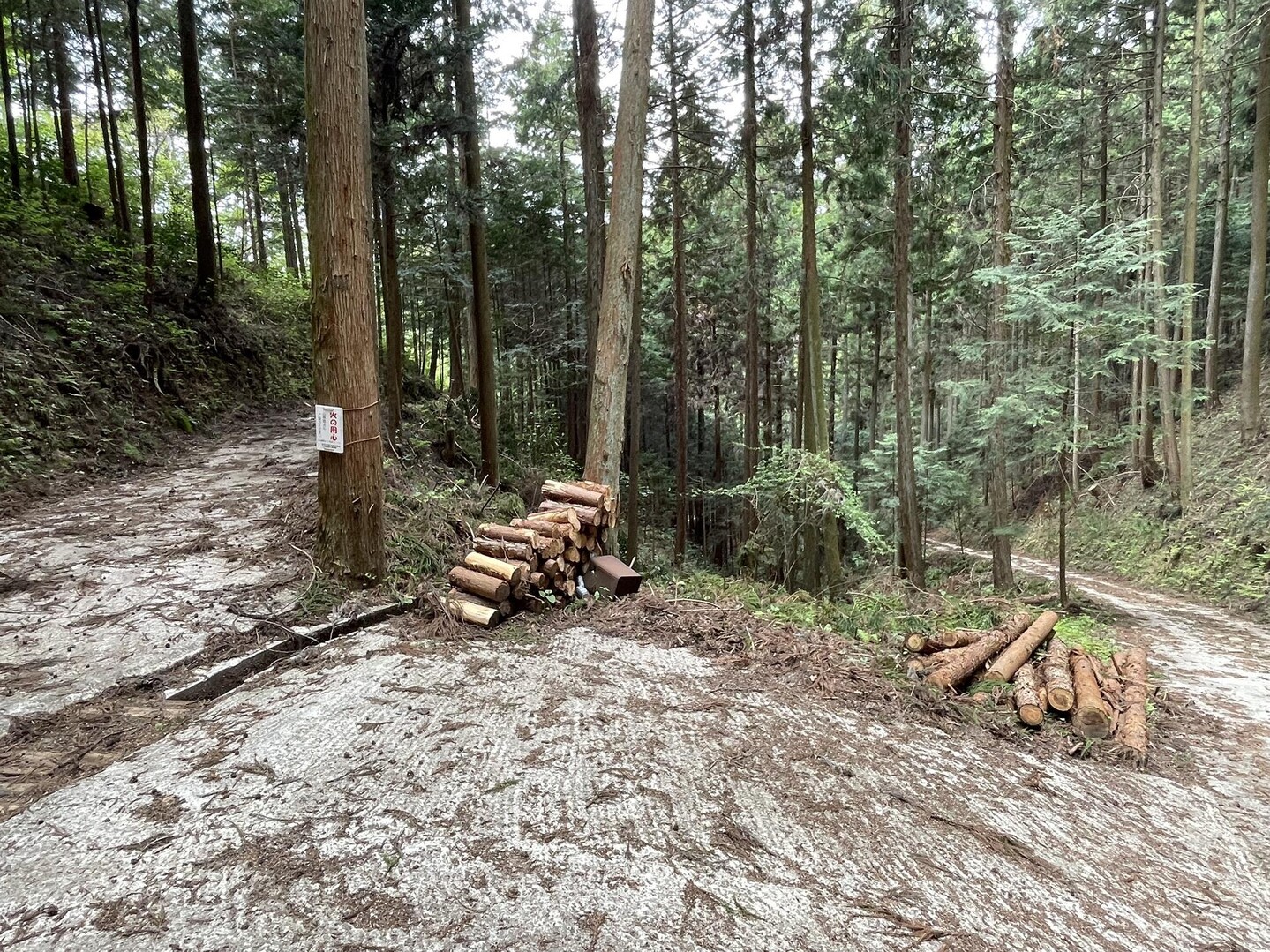 YassYassさんの投稿したフィールドメモ | YAMAP / ヤマップ