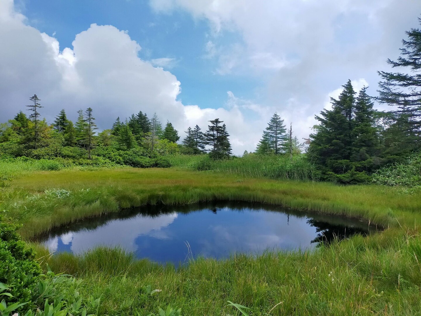 横手山・志賀山・赤石山-2023-08-17 / Mao Nagataさんの横手山・志賀山・赤石山の活動データ | YAMAP / ヤマップ