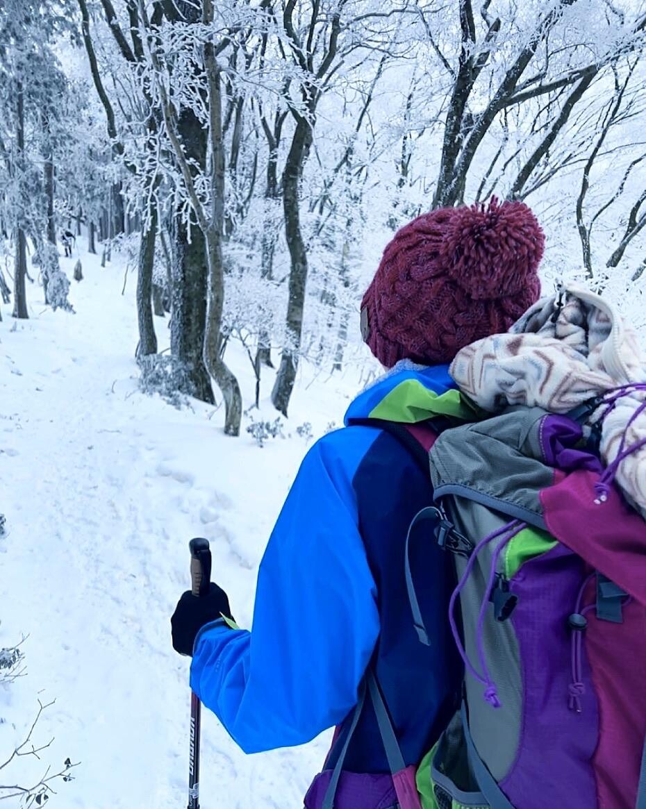 綿向山 / hiroko🐈さんの綿向山の活動データ | YAMAP / ヤマップ