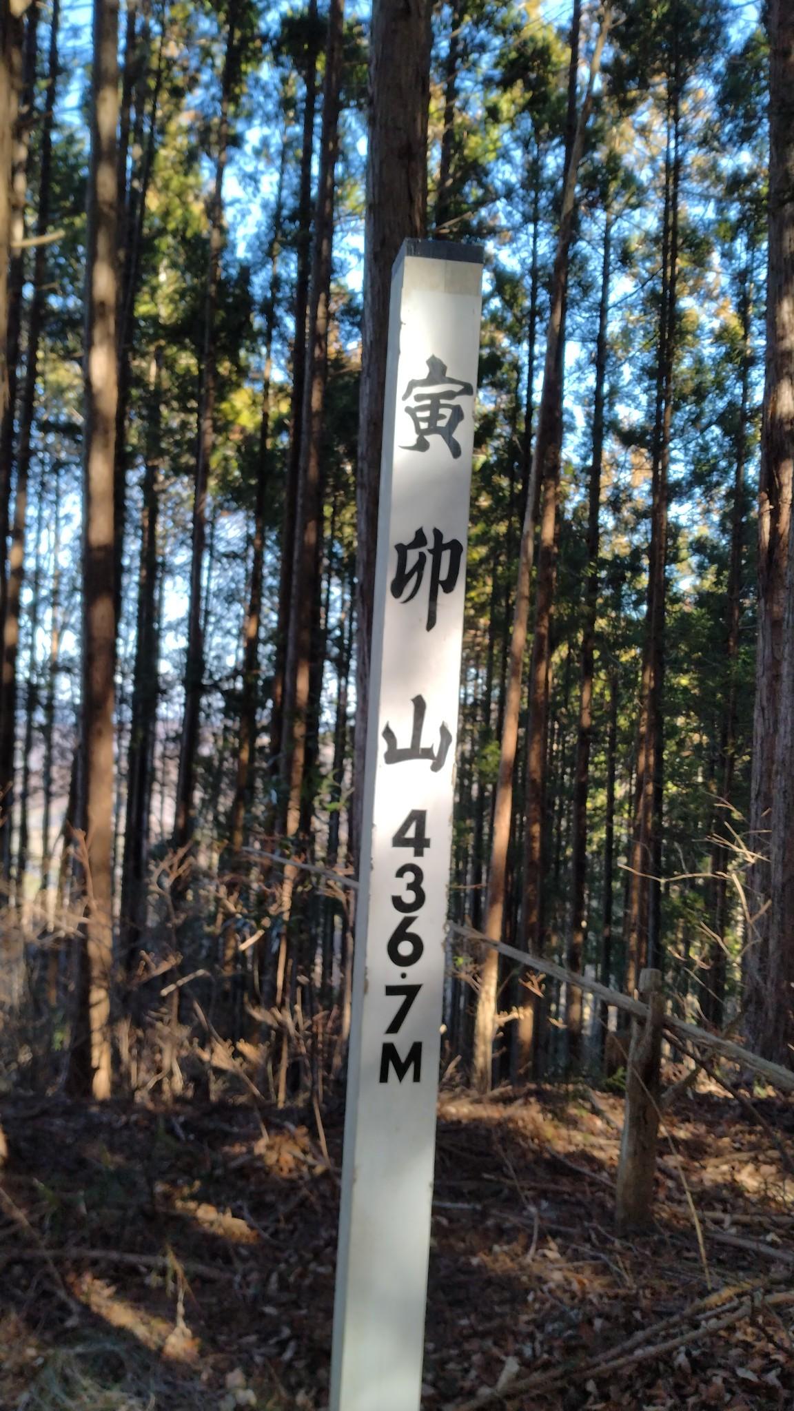 寅卯山 / type52さんの萬蔵山の活動データ | YAMAP / ヤマップ