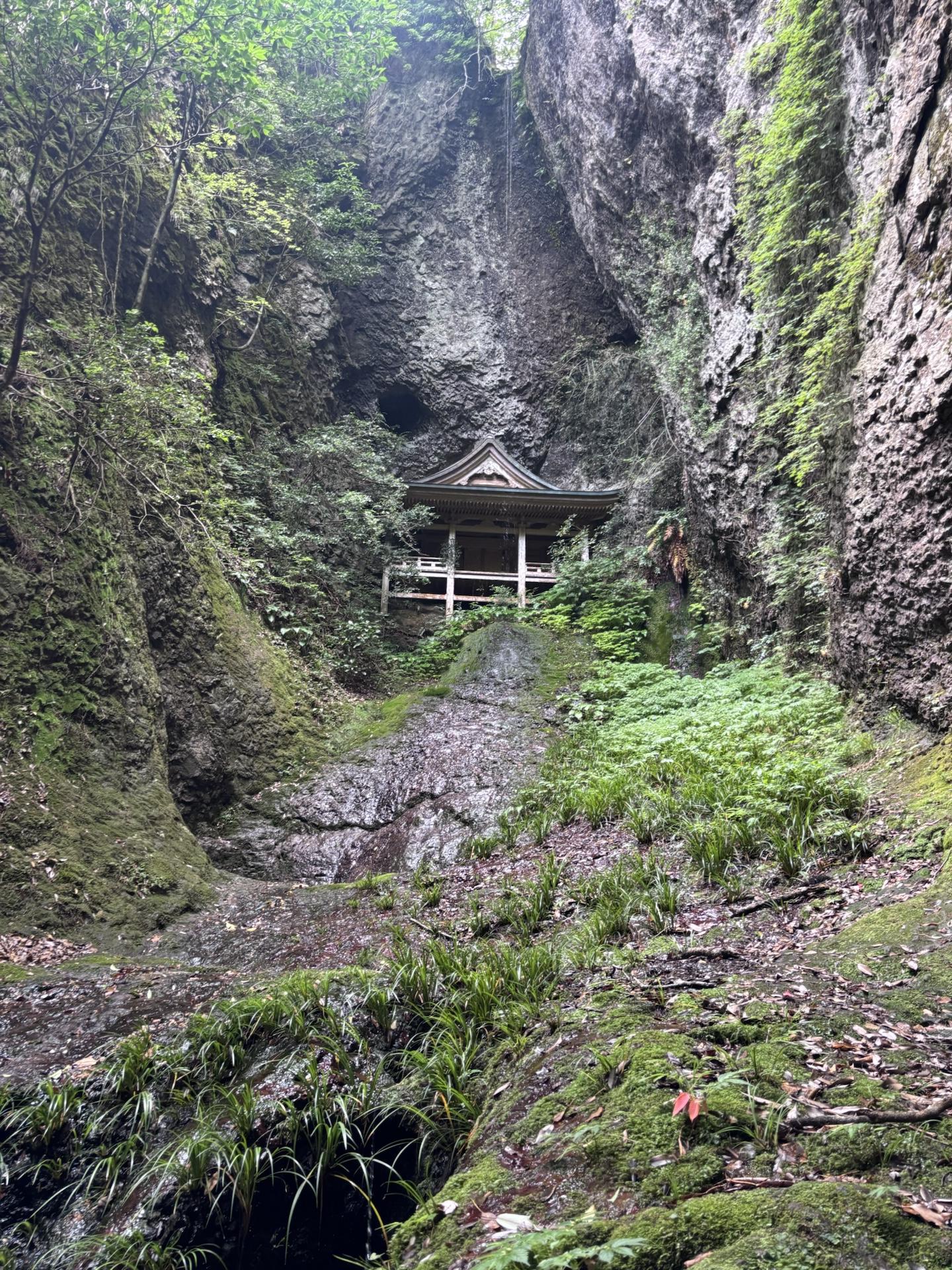 鰐淵寺-2025-06-23 / wtさんのウォーキングの活動データ | YAMAP / ヤマップ
