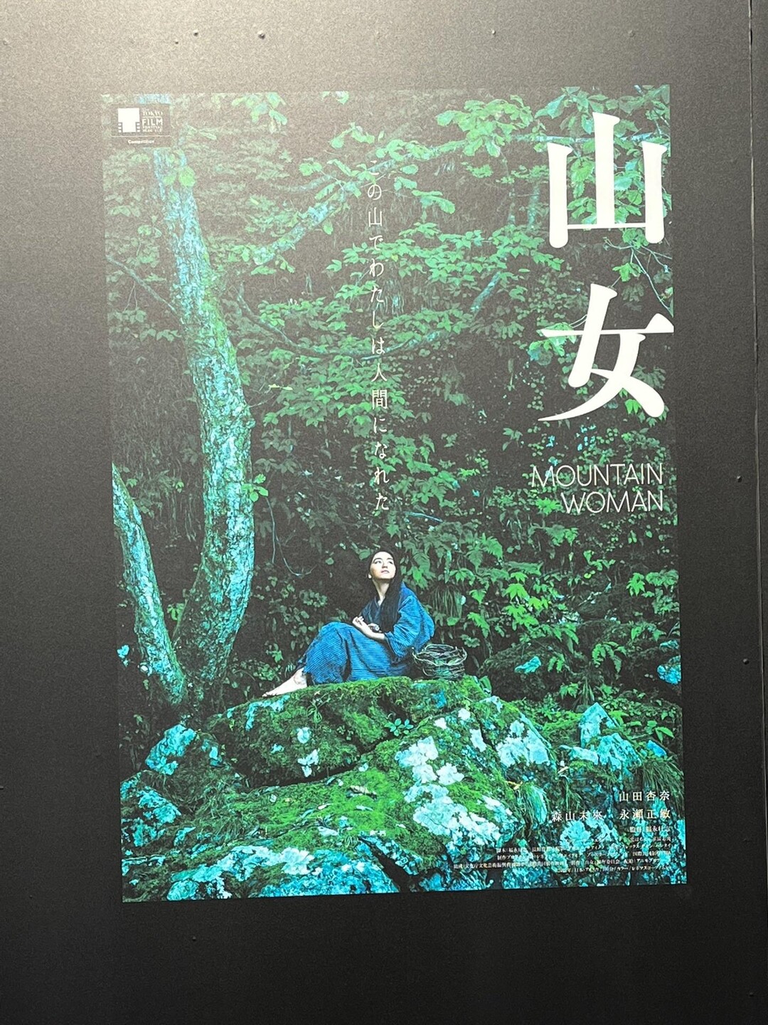 TIFF でこんな映画見つけた / るな★号さんのモーメント | YAMAP / ヤマップ