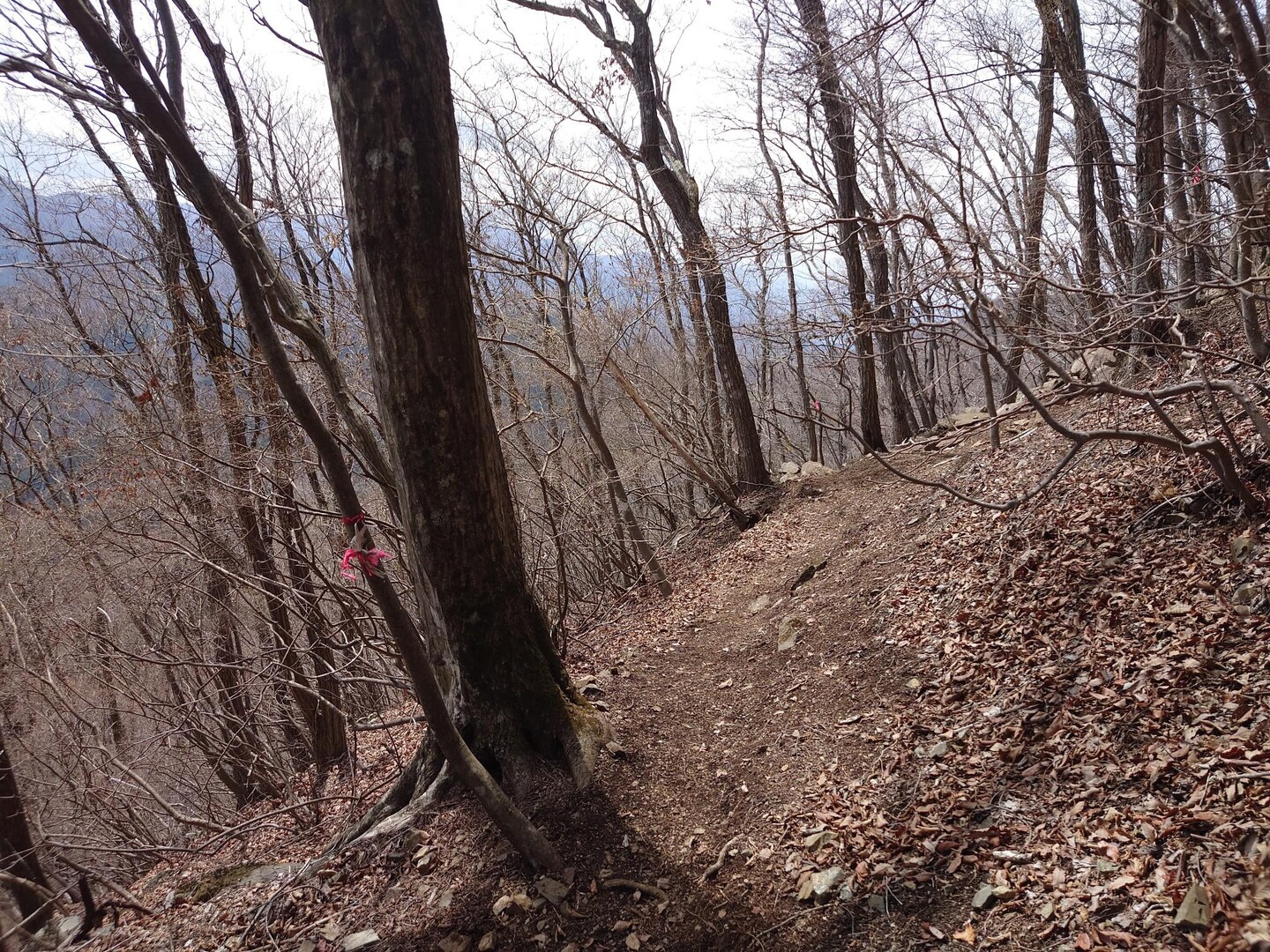 Riot Kさんの投稿したフィールドメモ | YAMAP / ヤマップ