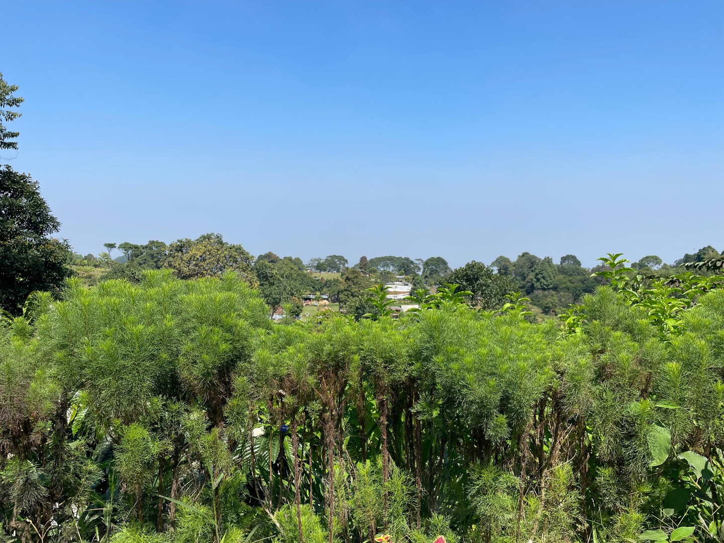 ALA-ALA TRAILでアラアラ？ / suggy1967さんのクタ山の活動データ | YAMAP / ヤマップ