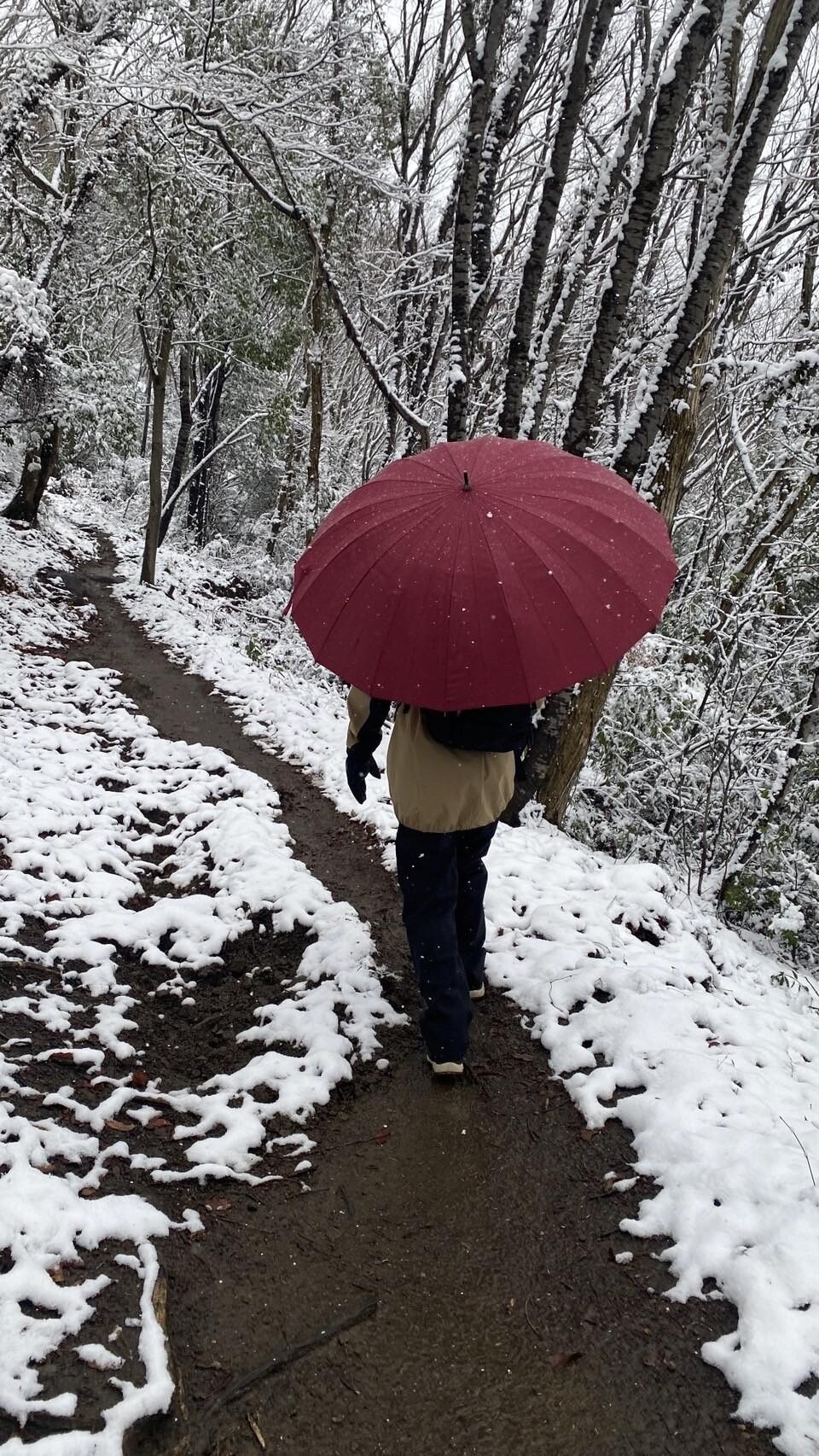 宝篋山 / w.miyukiさんの宝篋山・富岡山の活動データ | YAMAP / ヤマップ
