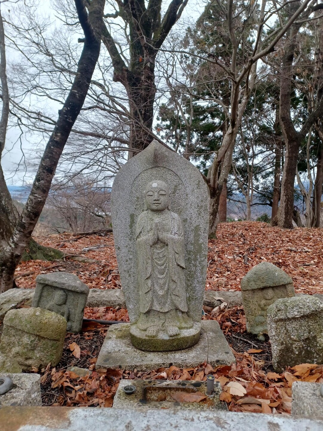 2023年初登山 ～佐和山・弁天山～ / Azy-mさんの佐和山・弁天山の活動データ | YAMAP / ヤマップ