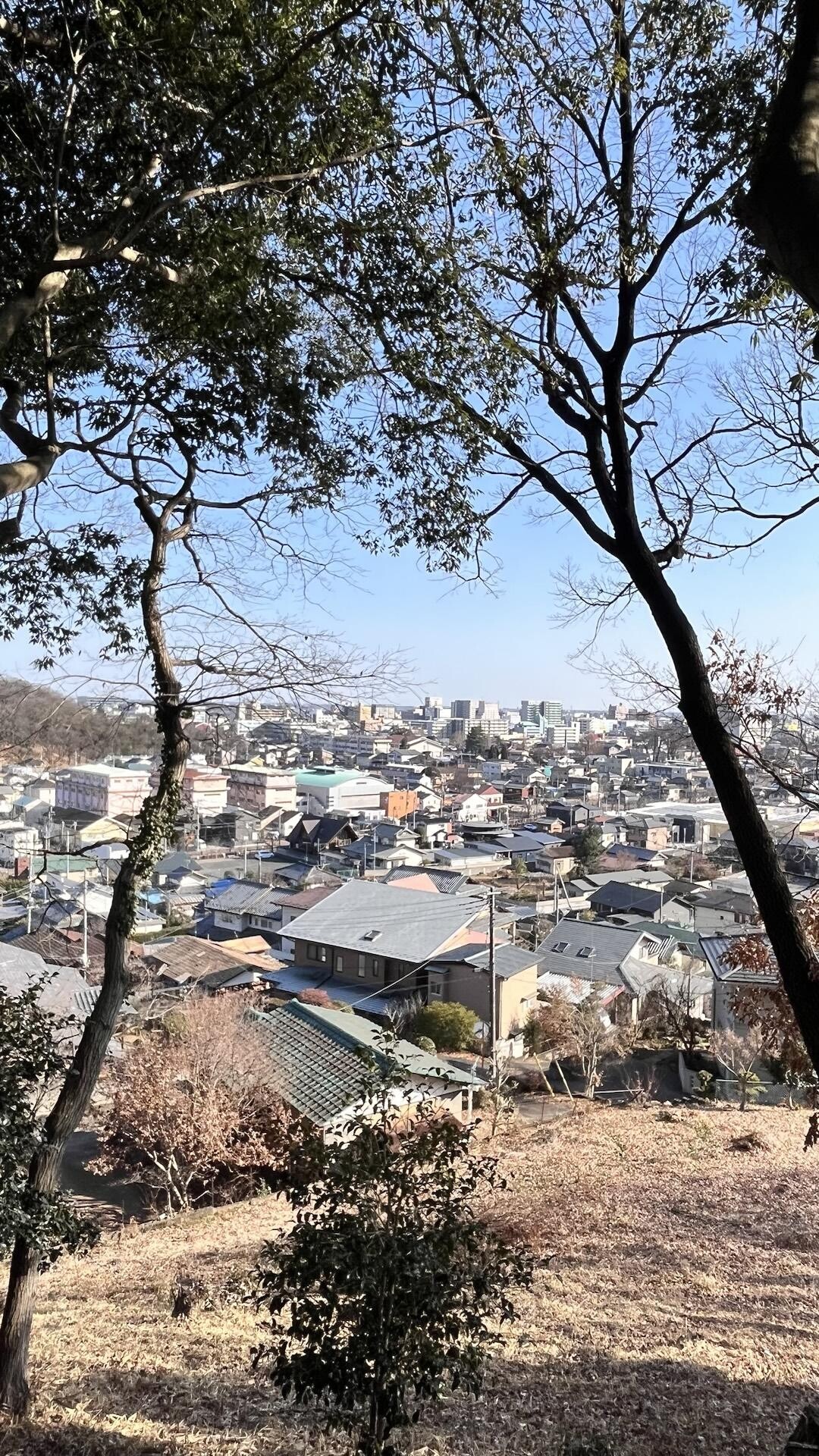 八幡山 / Shinamonさんの金山（新田金山）・八王子丘陵の活動データ | YAMAP / ヤマップ