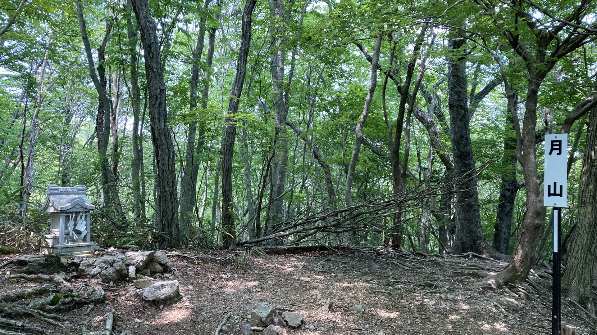 tsyamaさんの投稿したフィールドメモ | YAMAP / ヤマップ