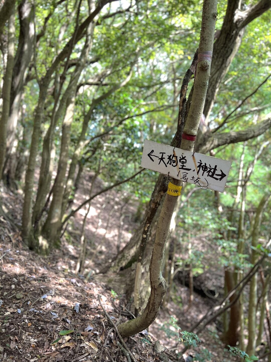天狗堂👺サンヤリ🔺急登地獄👹動画あり / Mt.Gさんの天狗堂の活動データ | YAMAP / ヤマップ