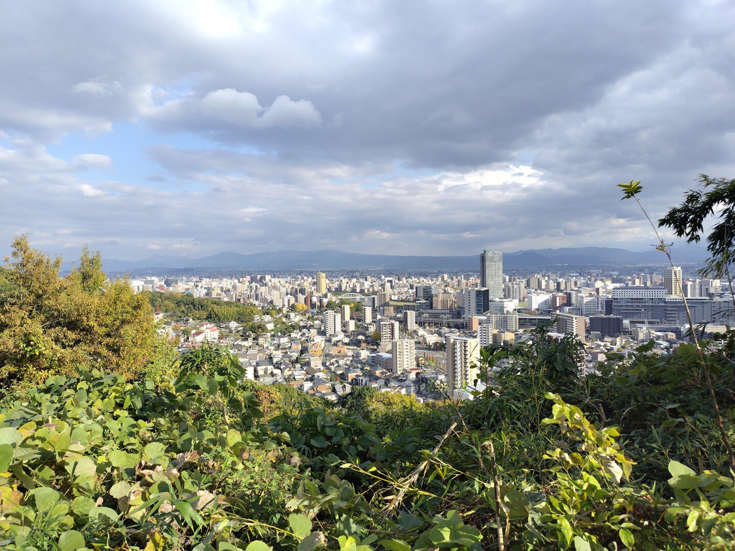 万日山 R6.12.5 / かわとんぼさんの熊本市（中央エリア・北エリア）の活動データ | YAMAP / ヤマップ