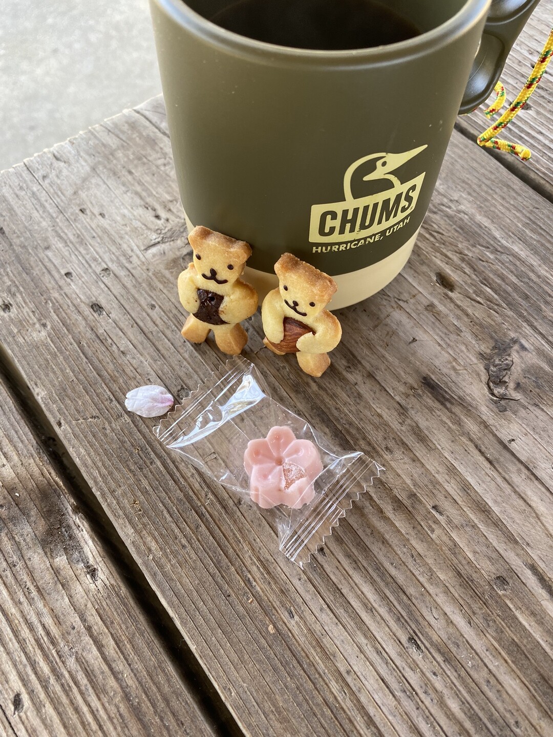 経小屋山 / miryuさんの経小屋山の活動データ | YAMAP / ヤマップ