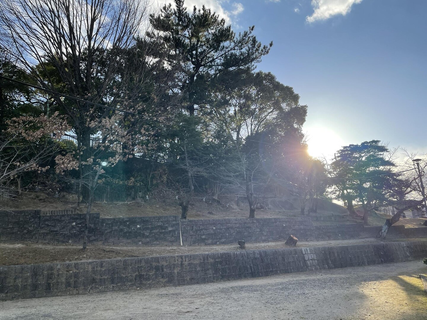 まずは名古屋に願いを 丹八山 / TAMさんの名古屋市の活動データ | YAMAP / ヤマップ