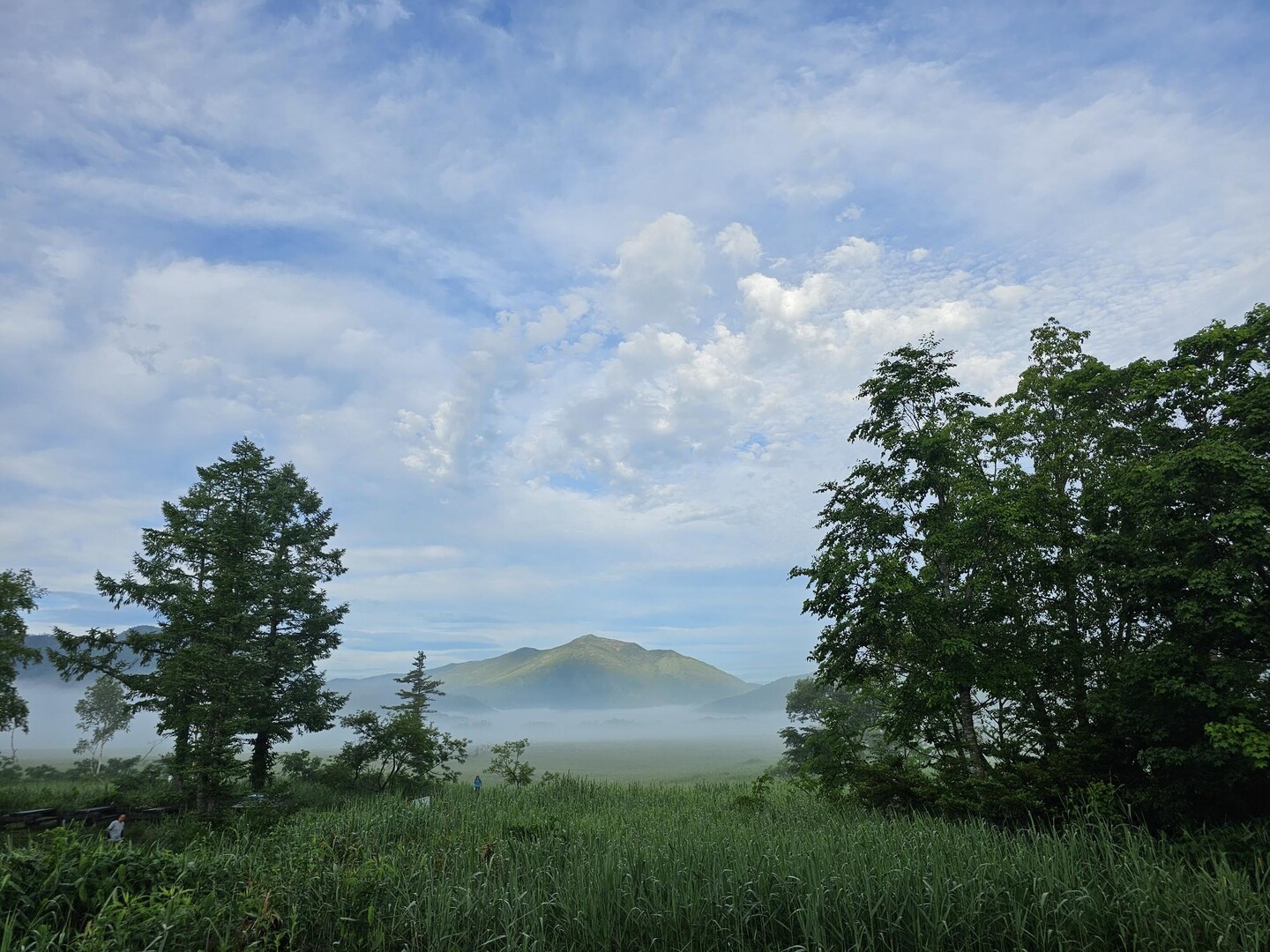 尾瀬沼 / bibiさんの尾瀬・燧ヶ岳の活動データ | YAMAP / ヤマップ