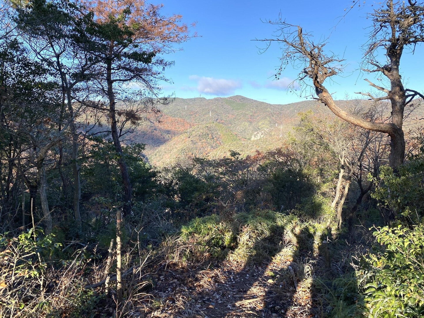 不老山 / yumiさんの熊山・高津山・尺八山の活動データ | YAMAP / ヤマップ