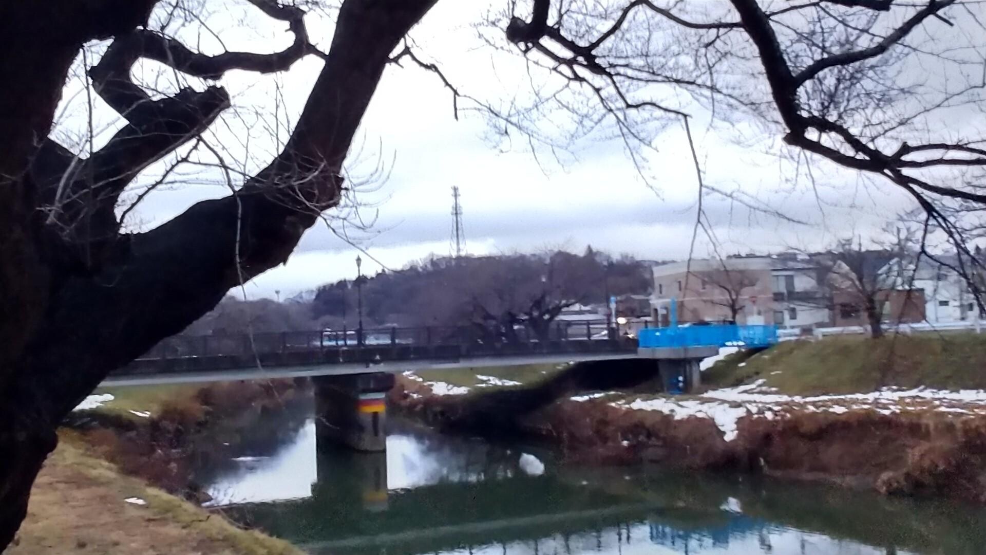 金照寺山2024-01-02初詣Ⅱ / コーチ君さんの秋田市の活動データ | YAMAP / ヤマップ