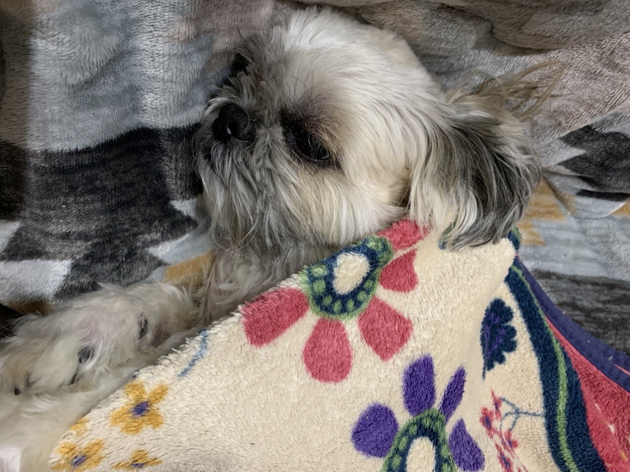 hikkoのページ | YAMAP / ヤマップ