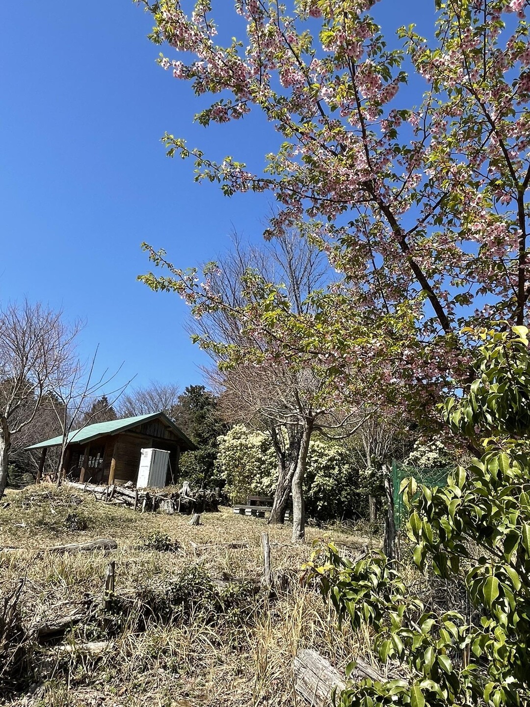 新嶽山・新峯山・おおだ山 / まっつーさんのおおだ山・新峯山・新嶽山の活動データ | YAMAP / ヤマップ