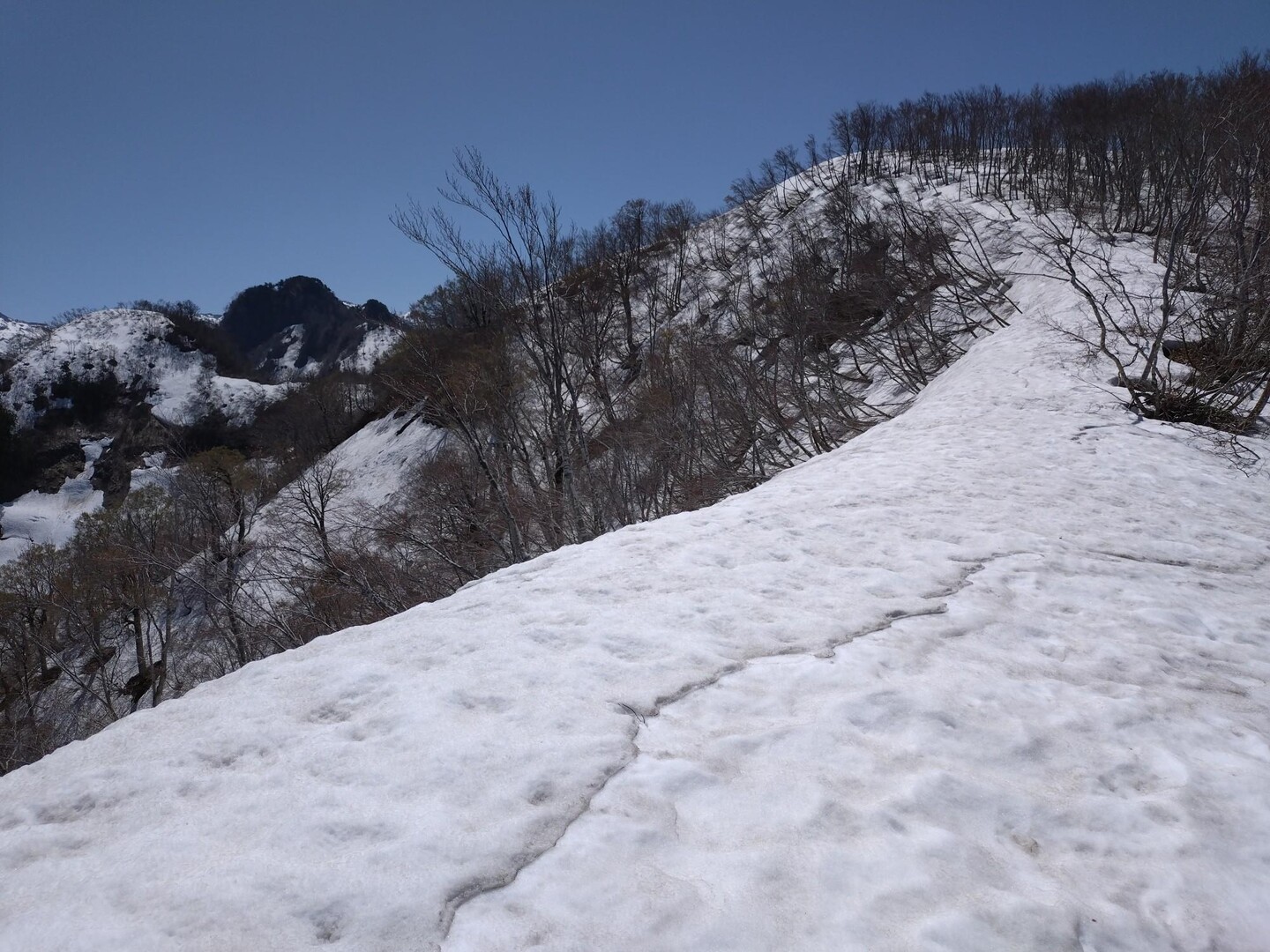 駒ヶ岳:越後百山62座目 / zumiさんの駒ヶ岳の活動データ | YAMAP / ヤマップ