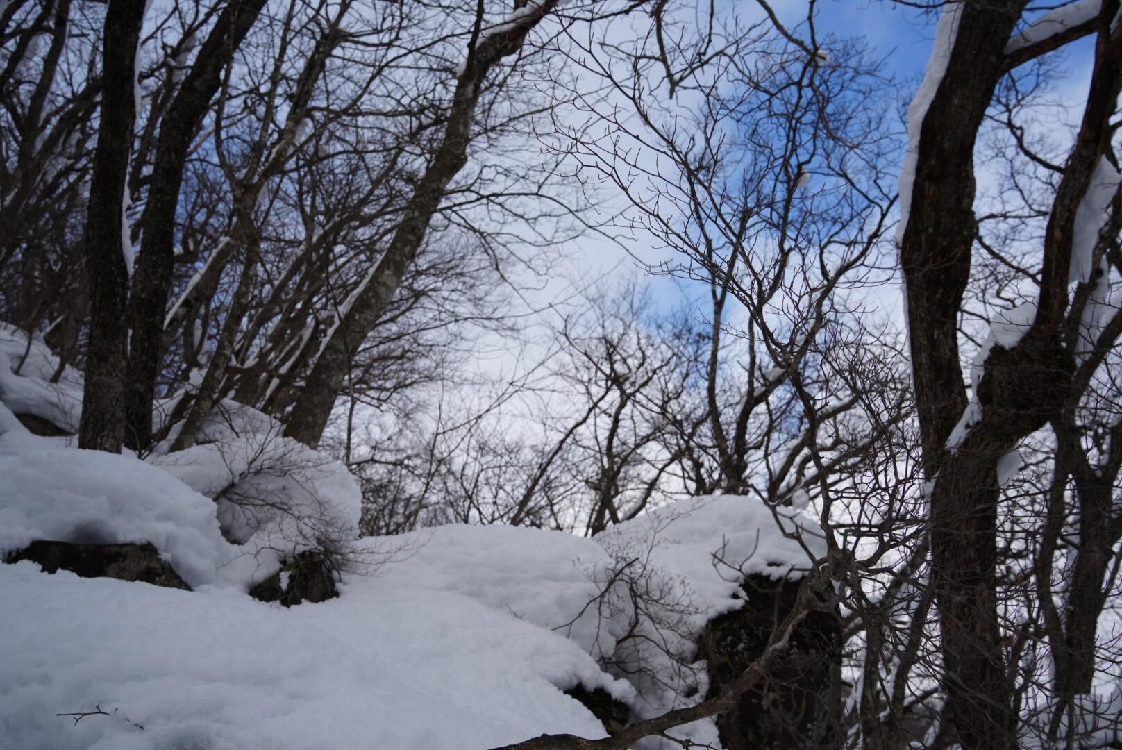 泉ヶ岳 / jmamaさんの船形山（御所山）・泉ヶ岳・蛇ヶ岳の活動データ | YAMAP / ヤマップ