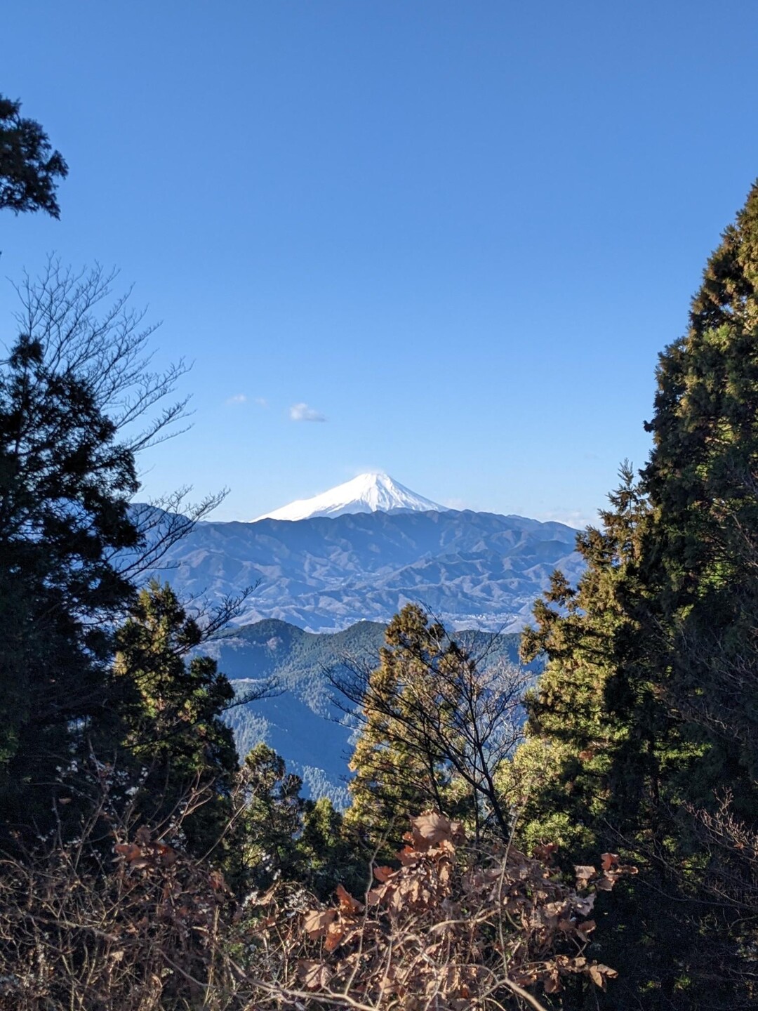 景信山・小仏城山・高尾山 / Sam&Azuさんの高尾山・陣馬山・景信山の活動データ | YAMAP / ヤマップ