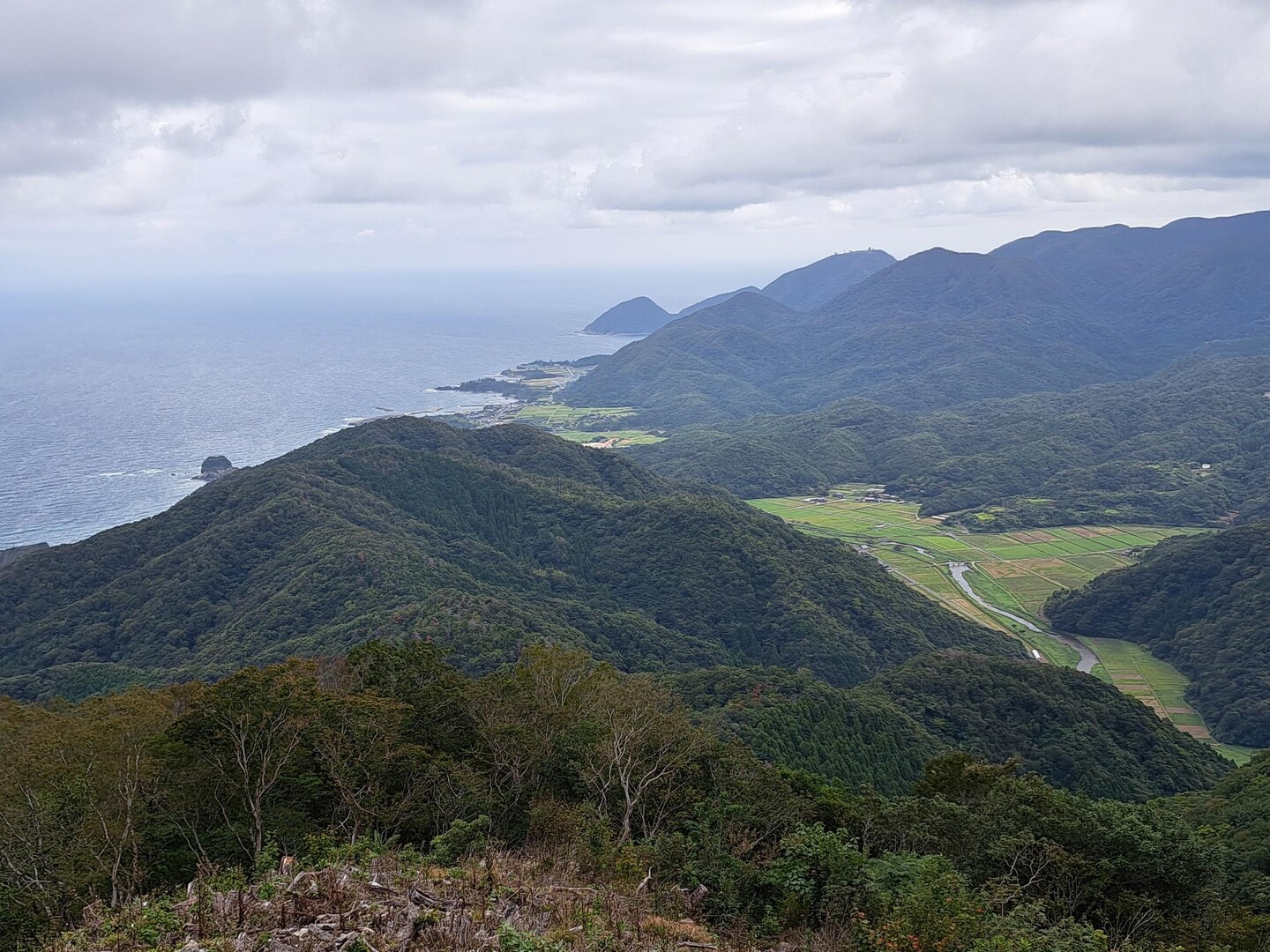 (丹後)依遅ヶ尾山 / TERUさんの依遅ヶ尾山の活動データ | YAMAP / ヤマップ