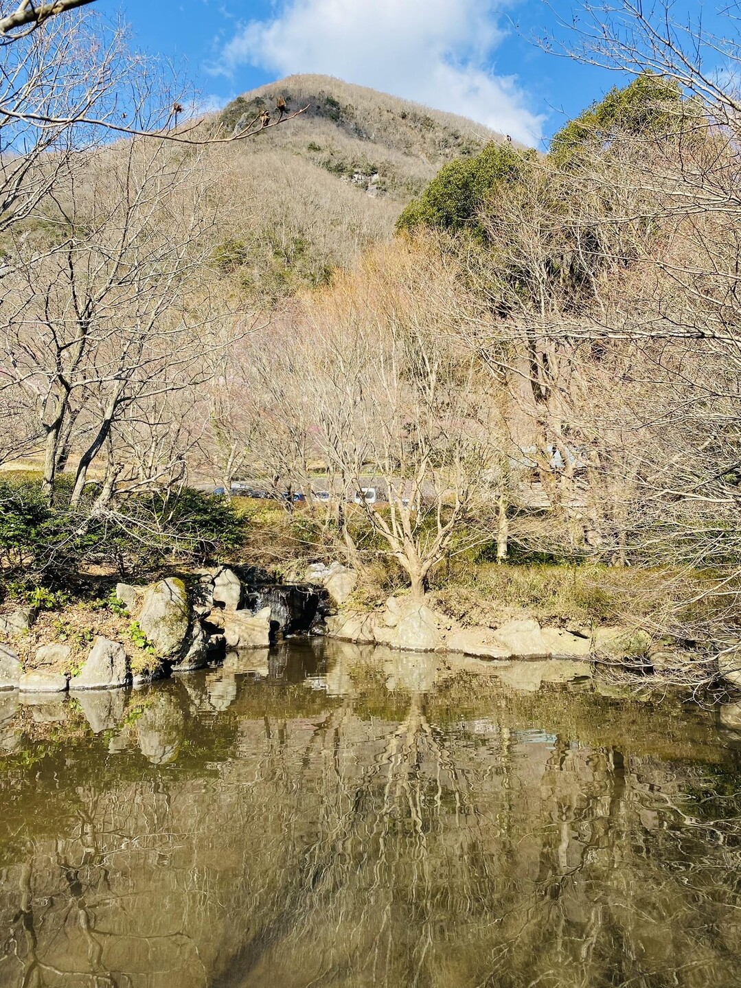南郷山・幕山 / Annさんの箱根山・神山の活動データ | YAMAP / ヤマップ