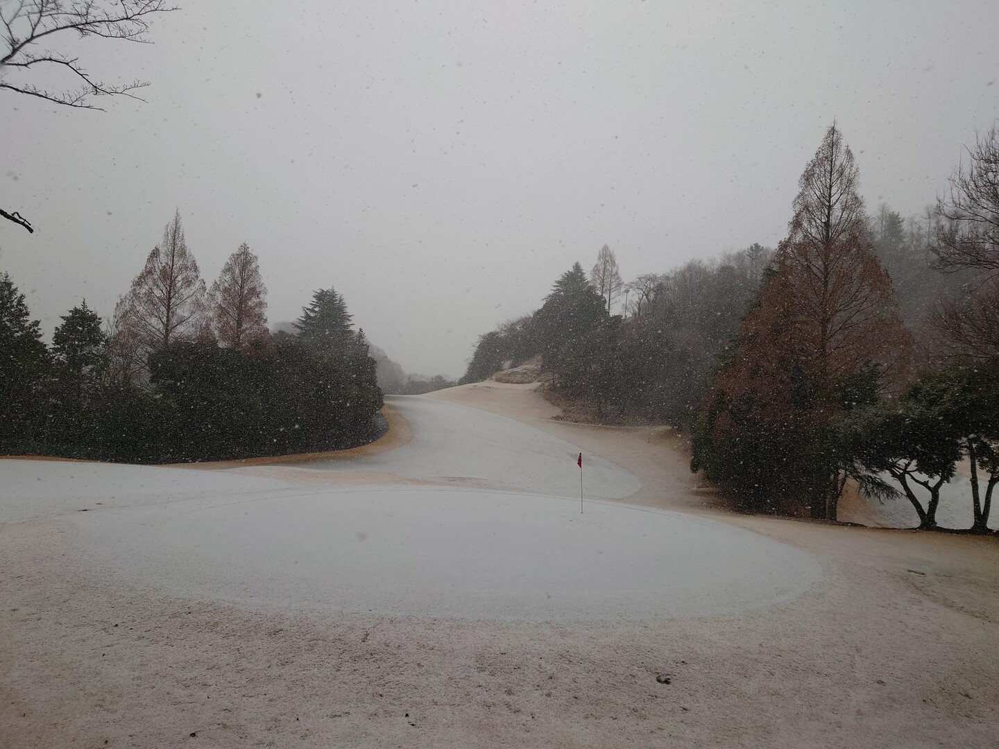 色々サボっています、、、 パルワールド... / unaさんのモーメント | YAMAP / ヤマップ