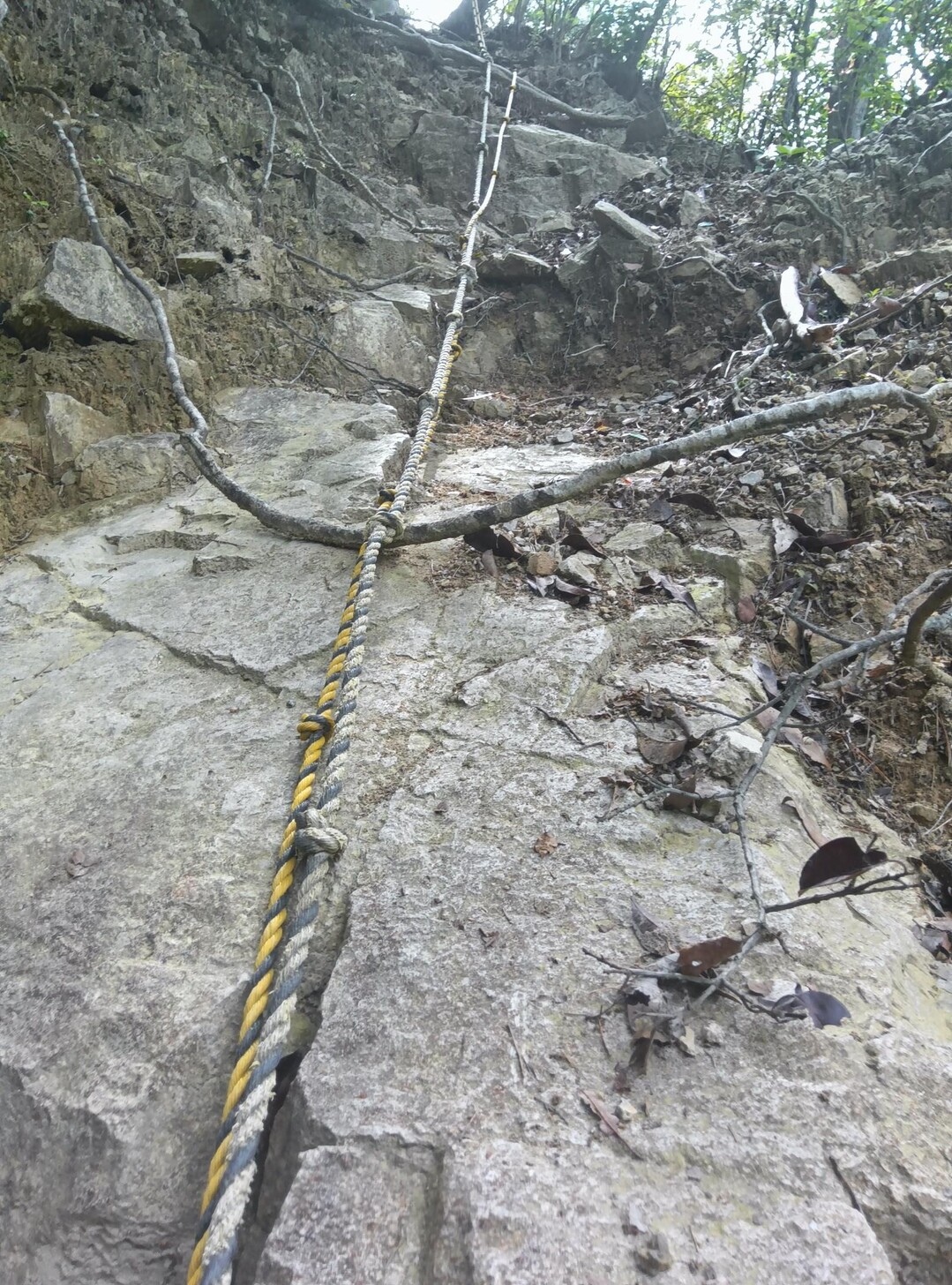 ヤマヒロ1215さんの投稿したフィールドメモ | YAMAP / ヤマップ