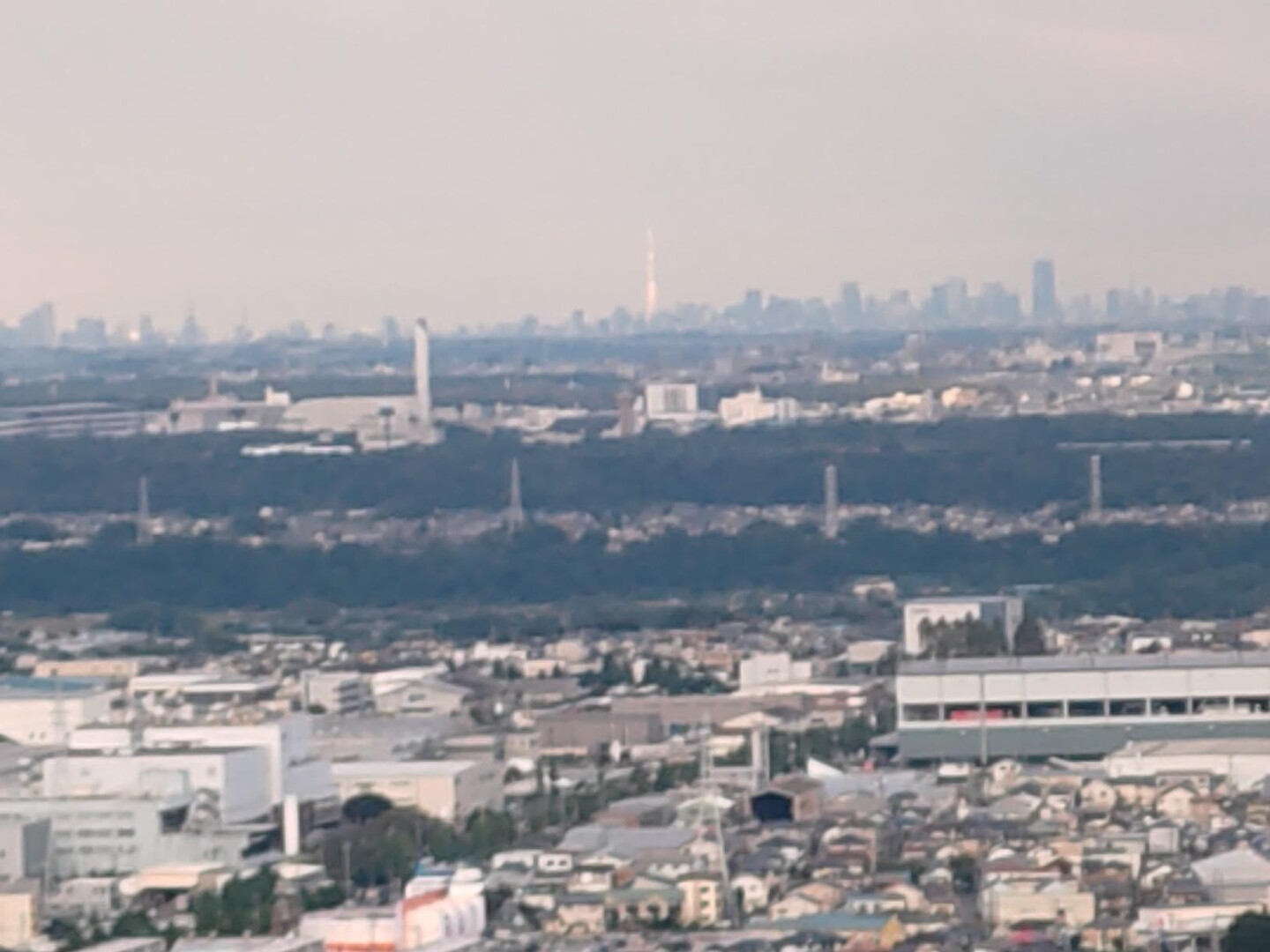 最近 スマホにGoogleレンズという機... / hachacha-umemeさんのモーメント | YAMAP / ヤマップ