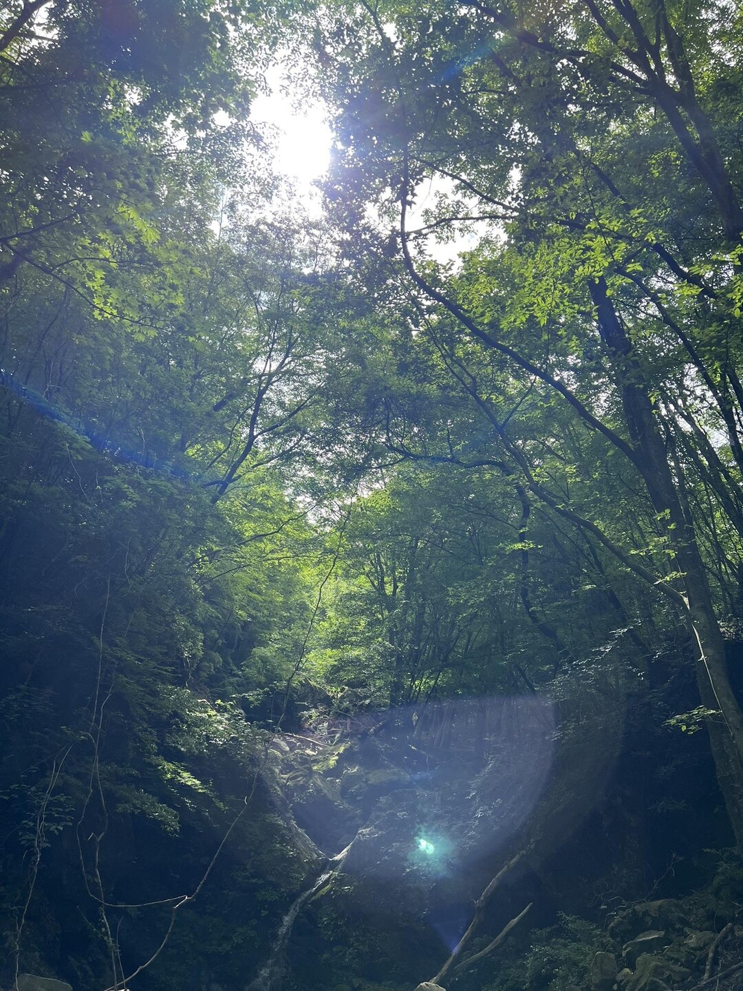 大障子岩 / kyoopoさんの祖母山の活動データ | YAMAP / ヤマップ