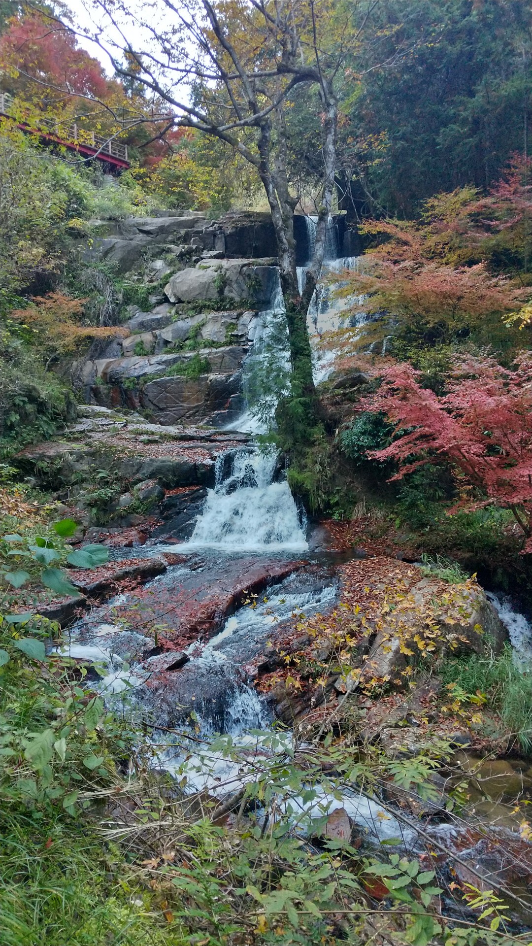 深山峡 ウォーキング / N-CMPさんのウォーキングの活動データ | YAMAP / ヤマップ