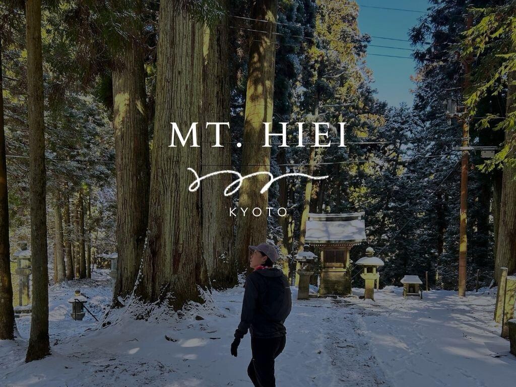 比良比叡トレイル / Karinさんの比叡山・横高山・梶山の活動データ | YAMAP / ヤマップ