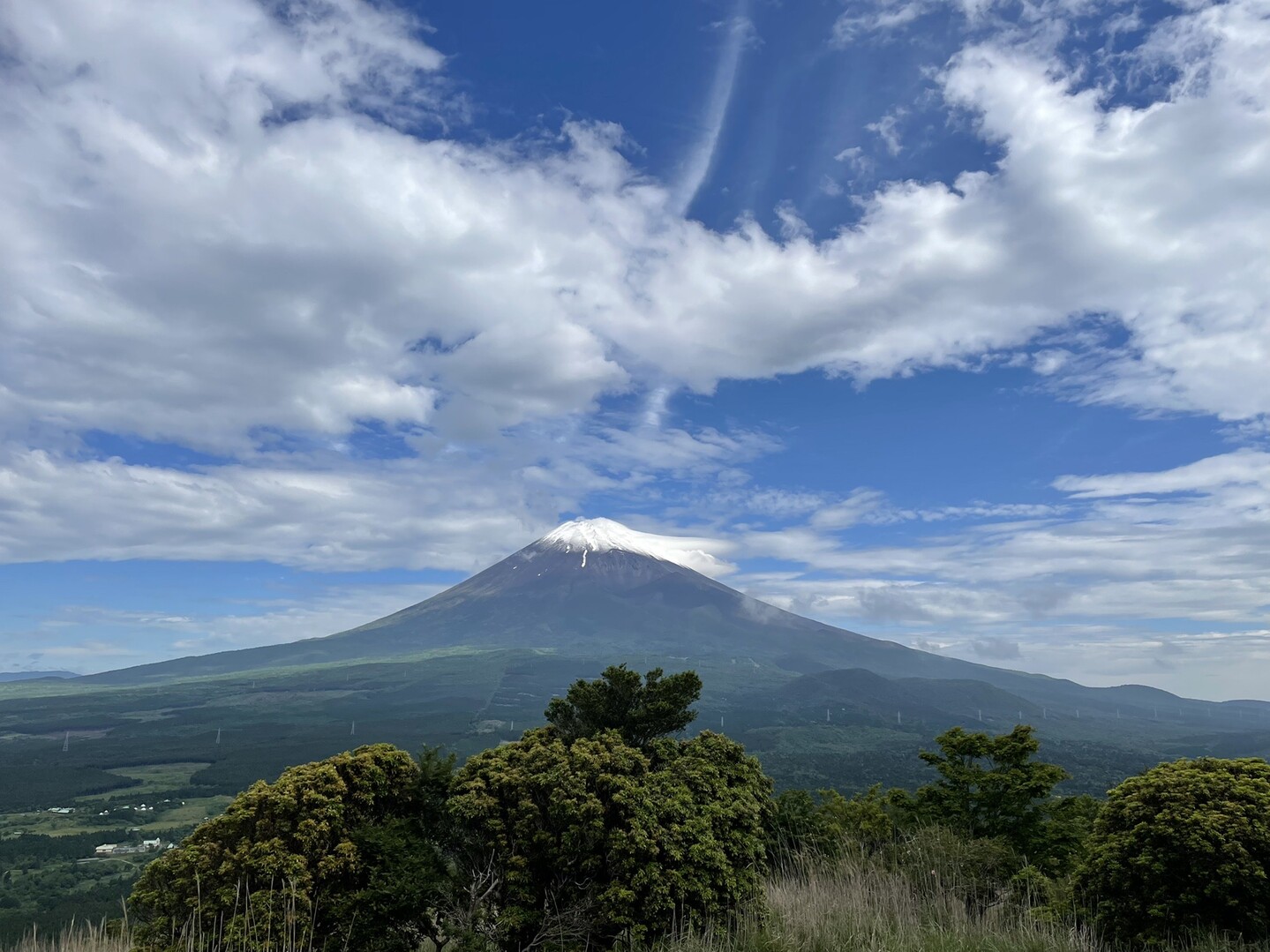 越前岳 / minorunさんの愛鷹山・大岳・黒岳の活動データ | YAMAP / ヤマップ